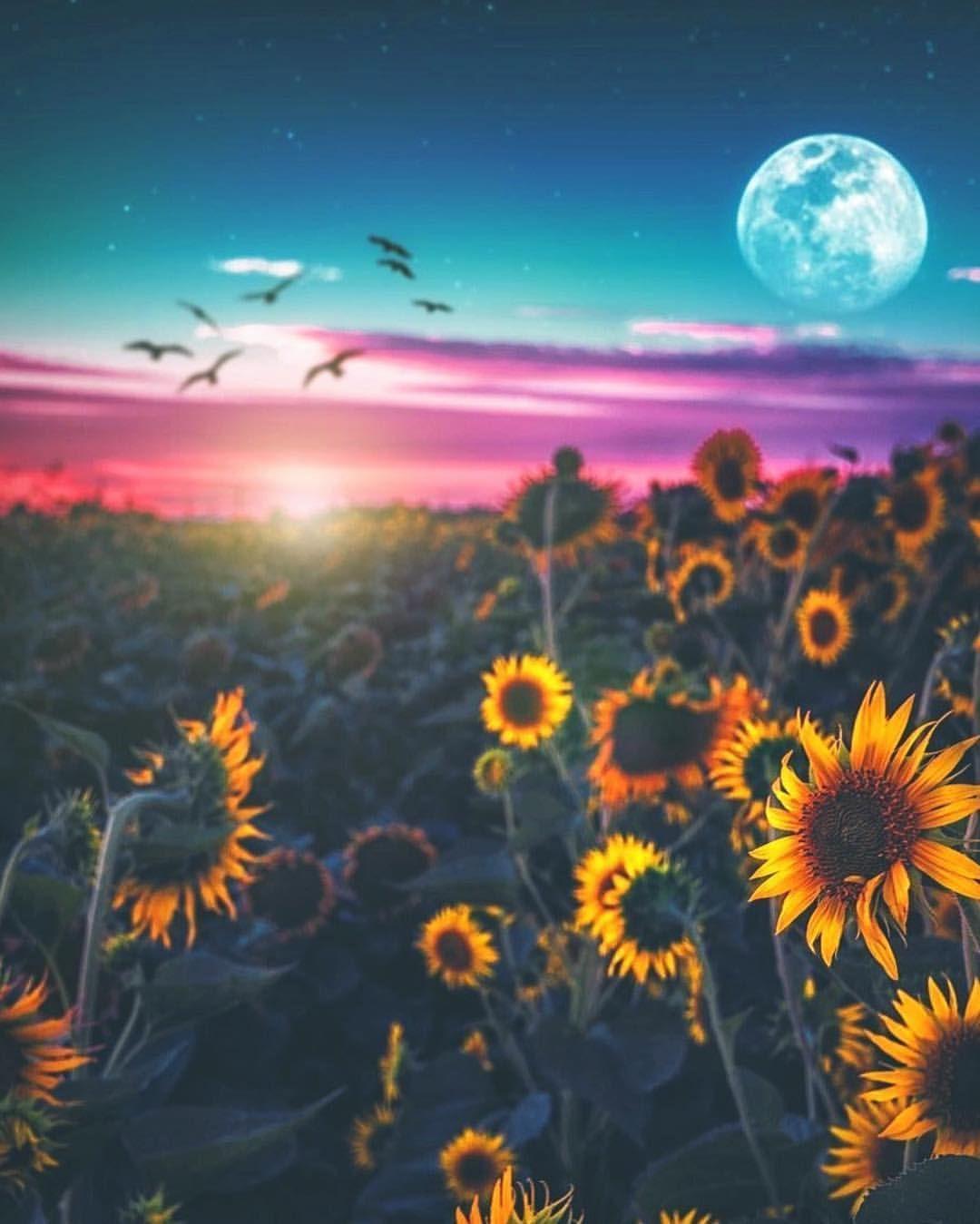 May Nature Wallpapers - Top Free May Nature Backgrounds - WallpaperAccess