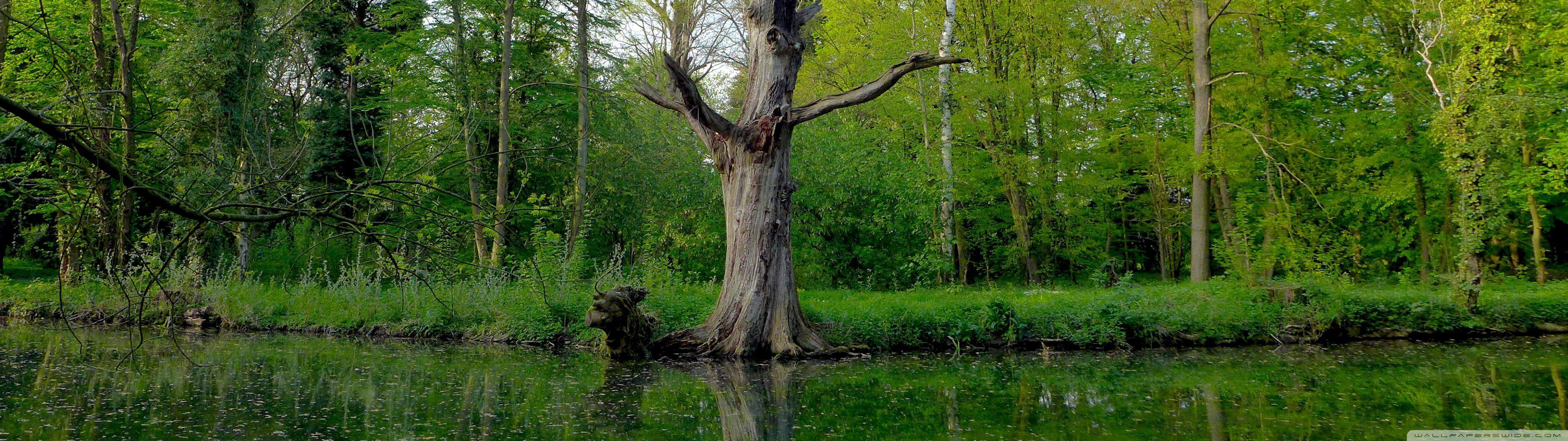 May Nature Wallpapers - Top Free May Nature Backgrounds - WallpaperAccess