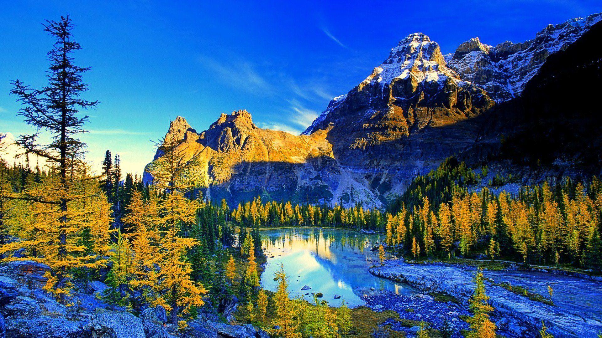 May Nature Wallpapers - Top Free May Nature Backgrounds - WallpaperAccess