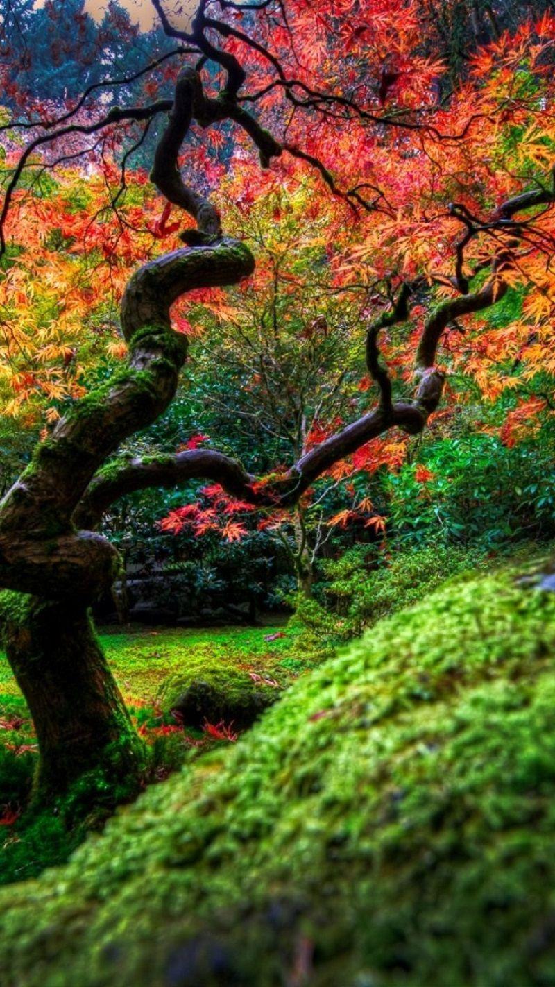 May Nature Wallpapers - Top Free May Nature Backgrounds - WallpaperAccess