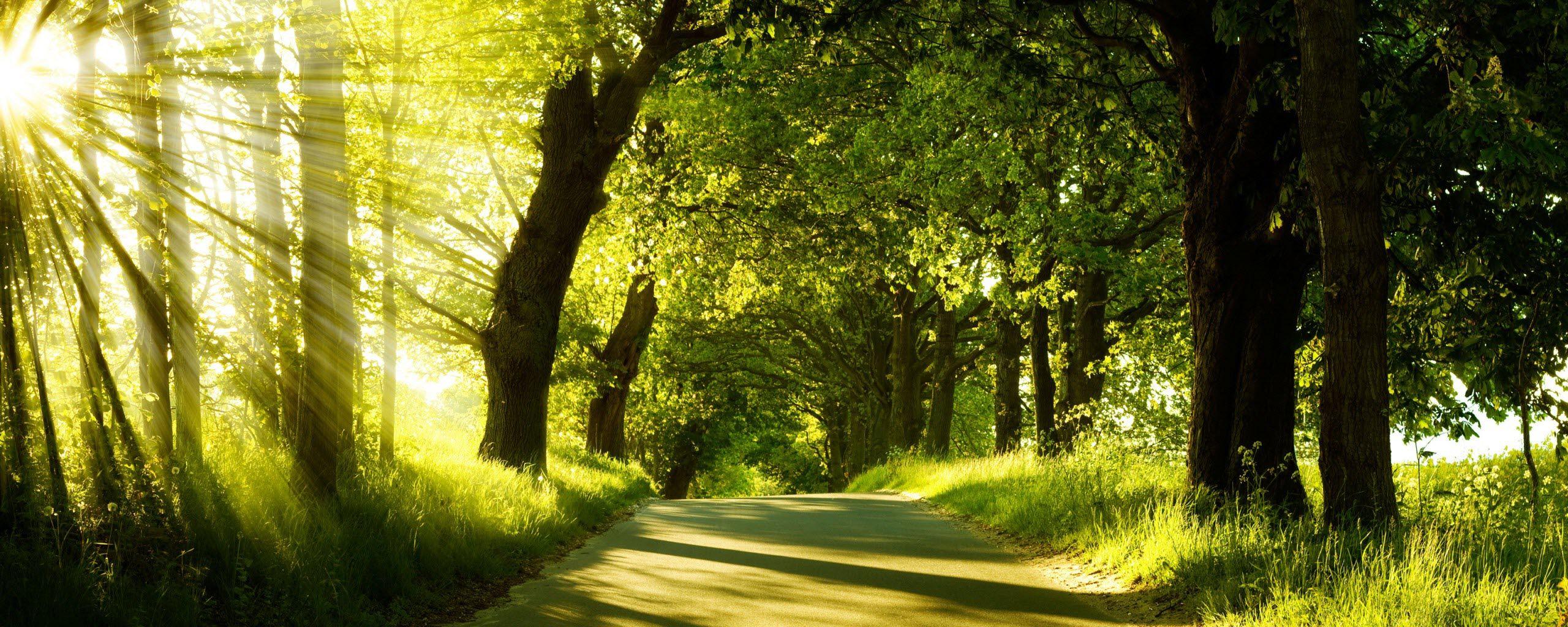 May Nature Wallpapers - Top Free May Nature Backgrounds - WallpaperAccess