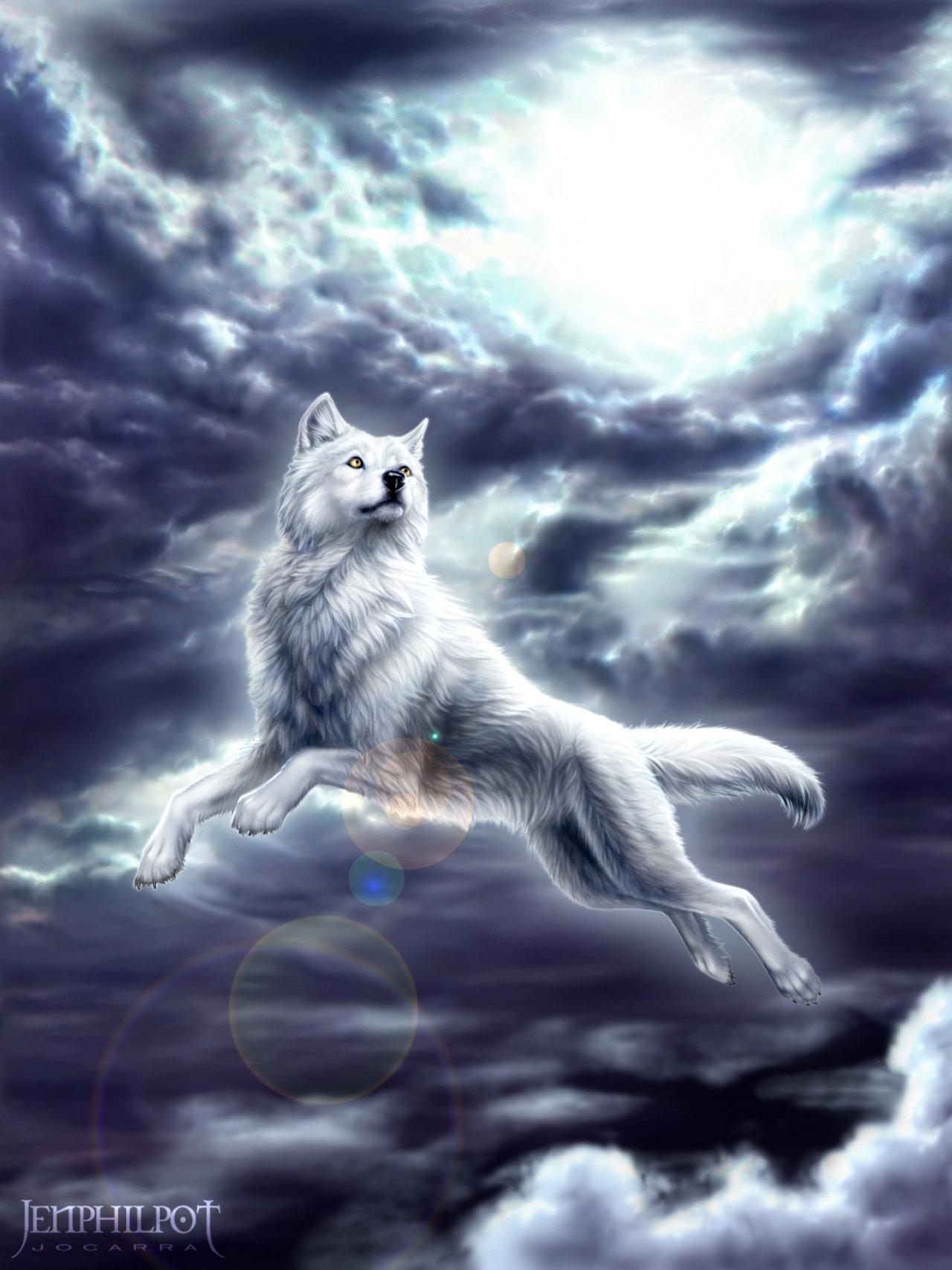 Spirit Animal Wolf Wallpapers - Top Free Spirit Animal Wolf Backgrounds ...
