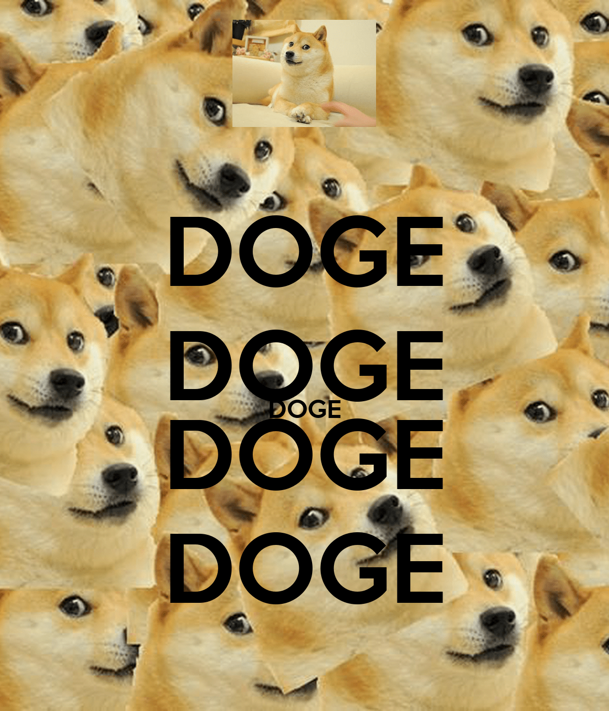 Doge Phone Wallpapers - Top Free Doge Phone Backgrounds - WallpaperAccess