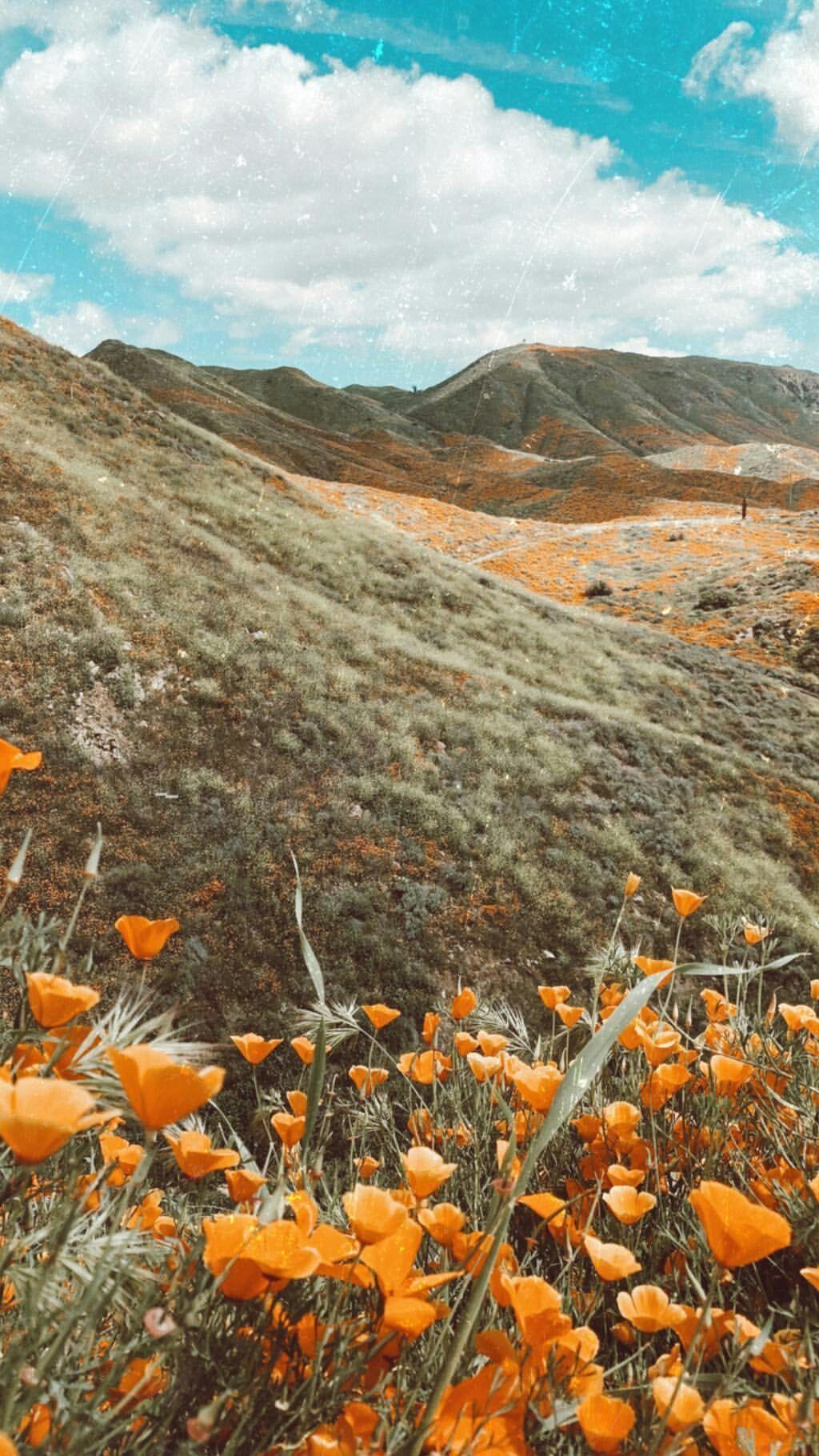 Floral Mountain Wallpapers - Top Free Floral Mountain Backgrounds ...