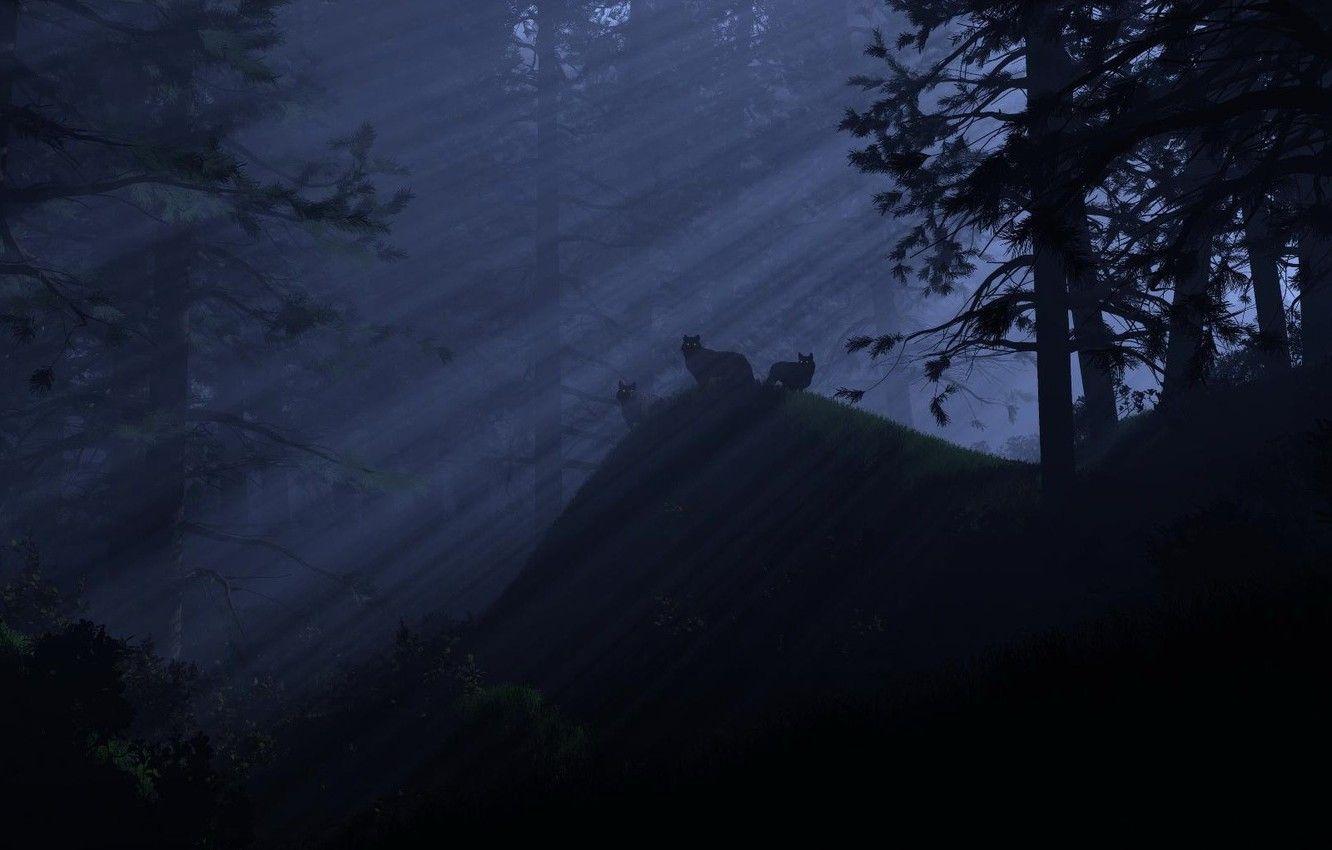 Wolf Night Forest Wallpapers - Top Free Wolf Night Forest Backgrounds ...