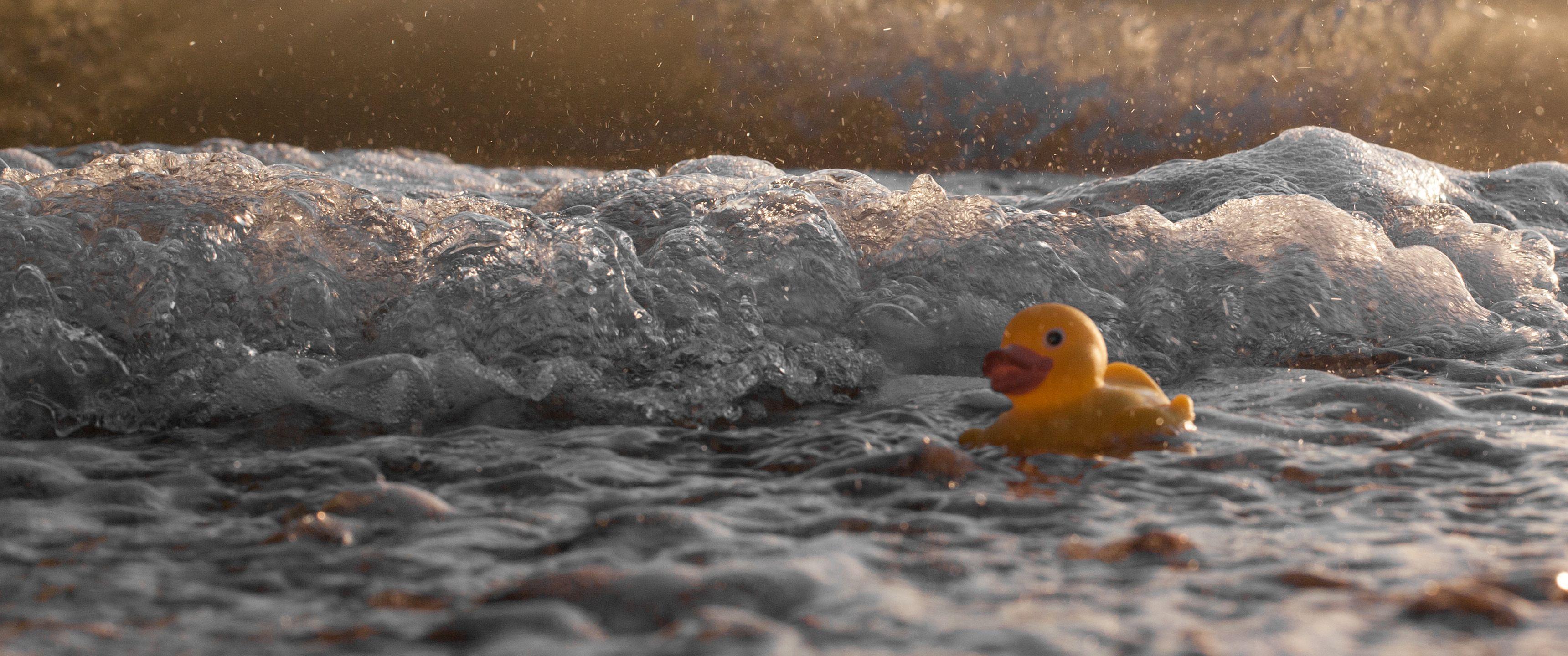 Ducky Wallpapers - Top Free Ducky Backgrounds - WallpaperAccess