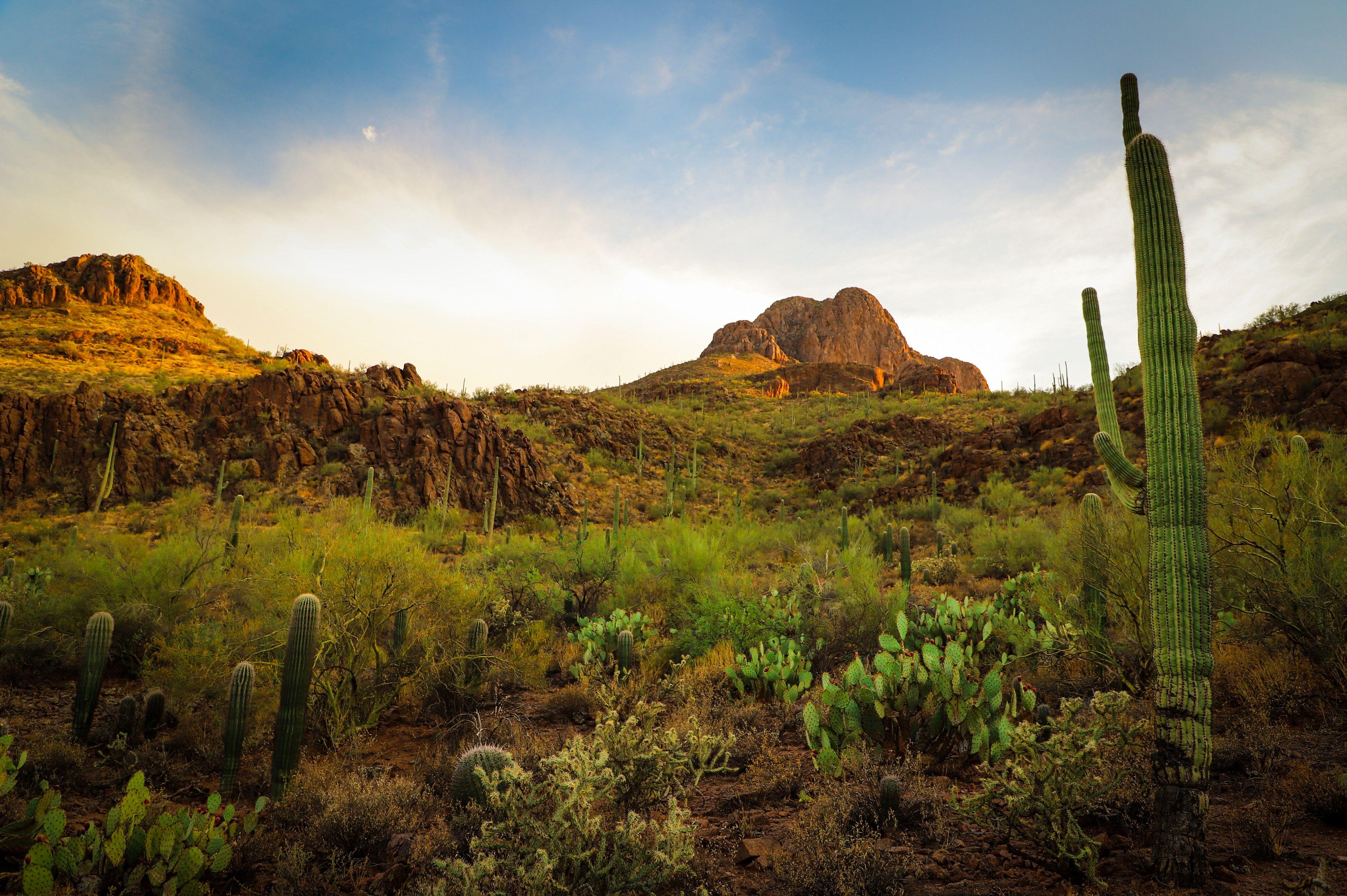 Tucson Arizona Wallpapers - Top Free Tucson Arizona Backgrounds ...