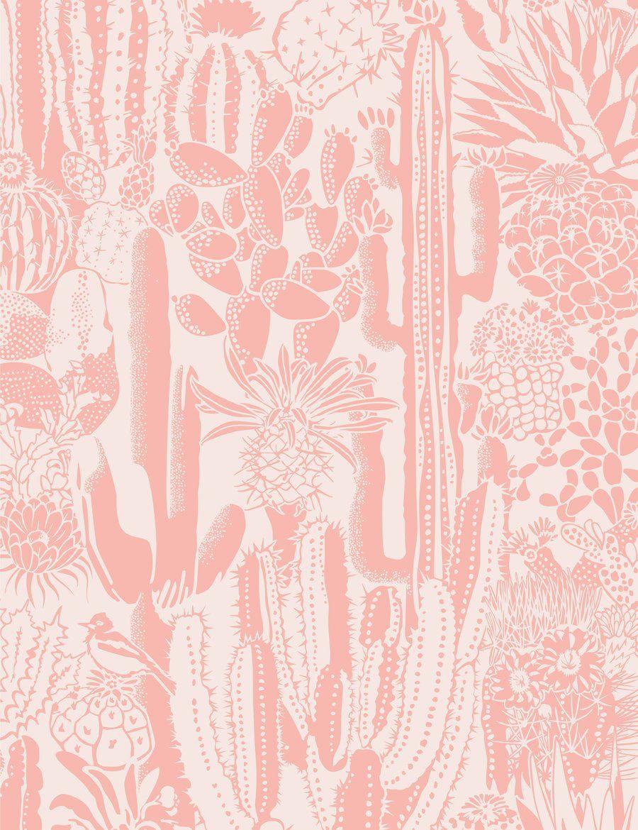 Pink Cactus Wallpapers - Top Free Pink Cactus Backgrounds - WallpaperAccess