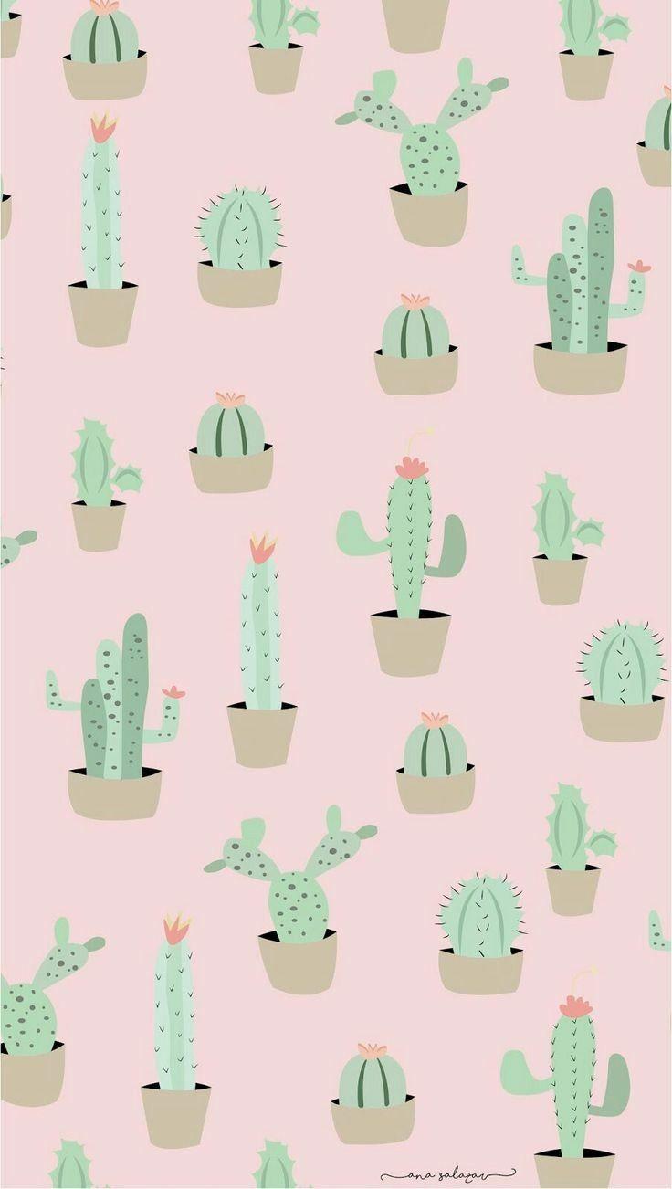 Pretty Cactus Wallpapers - Top Free Pretty Cactus Backgrounds ...