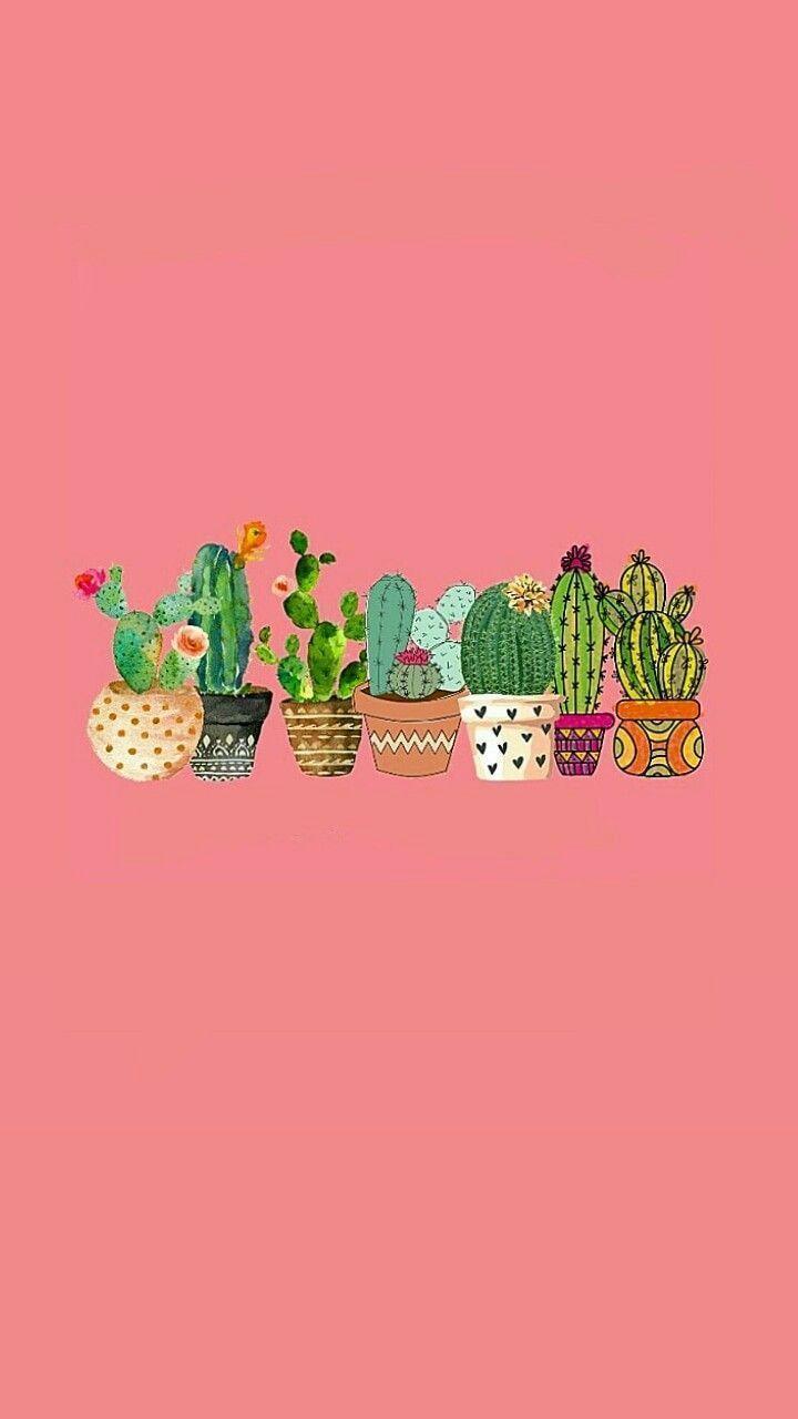 Pink Cactus Wallpapers - Top Free Pink Cactus Backgrounds - WallpaperAccess