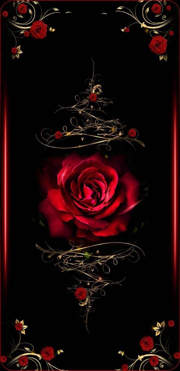 Gothic Roses HD Wallpapers - Top Free Gothic Roses HD Backgrounds ...