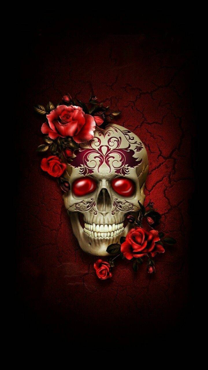 Roses and Skulls Wallpapers - Top Free Roses and Skulls Backgrounds ...