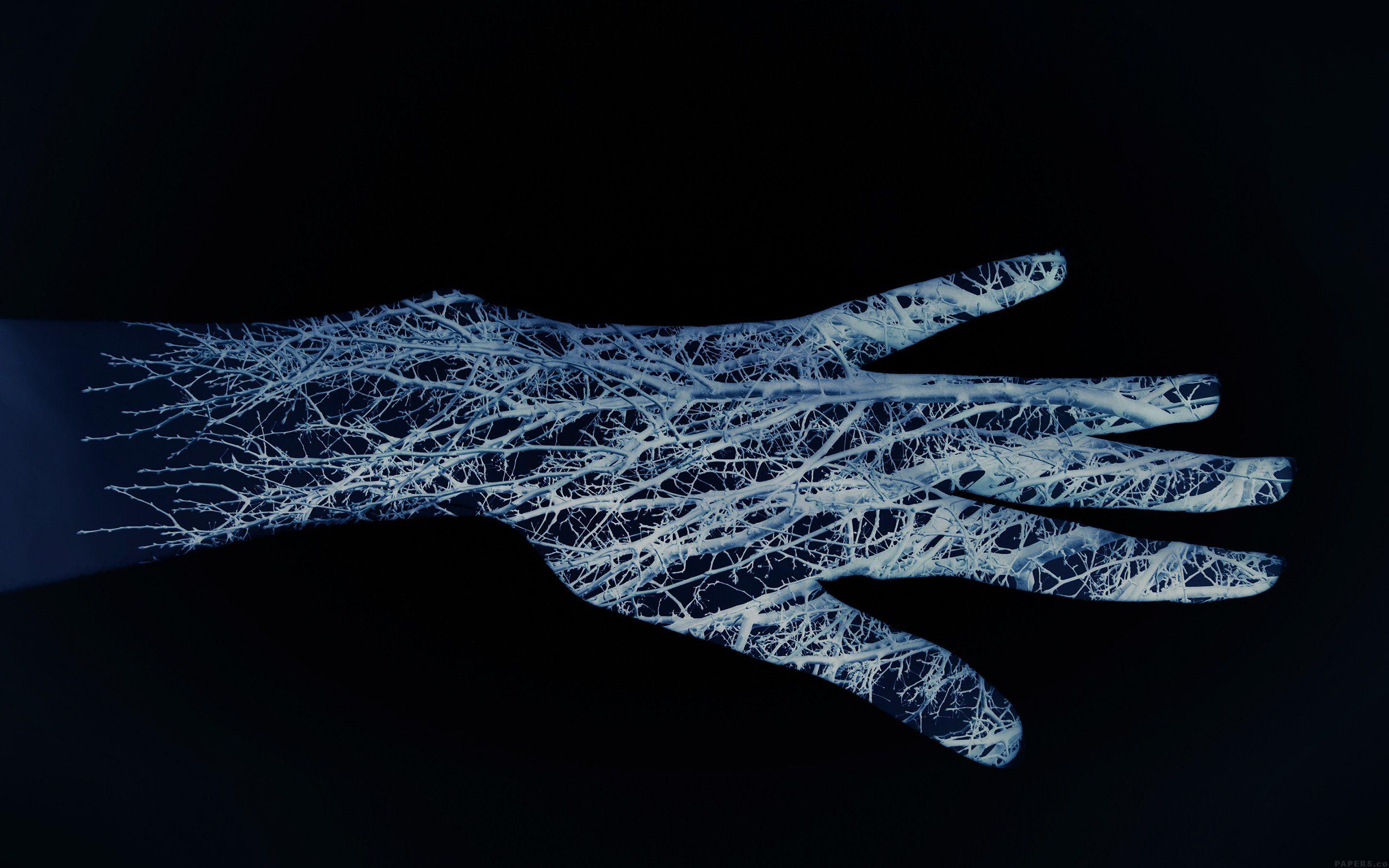 Abstract Anatomy Wallpapers - Top Free Abstract Anatomy Backgrounds ...