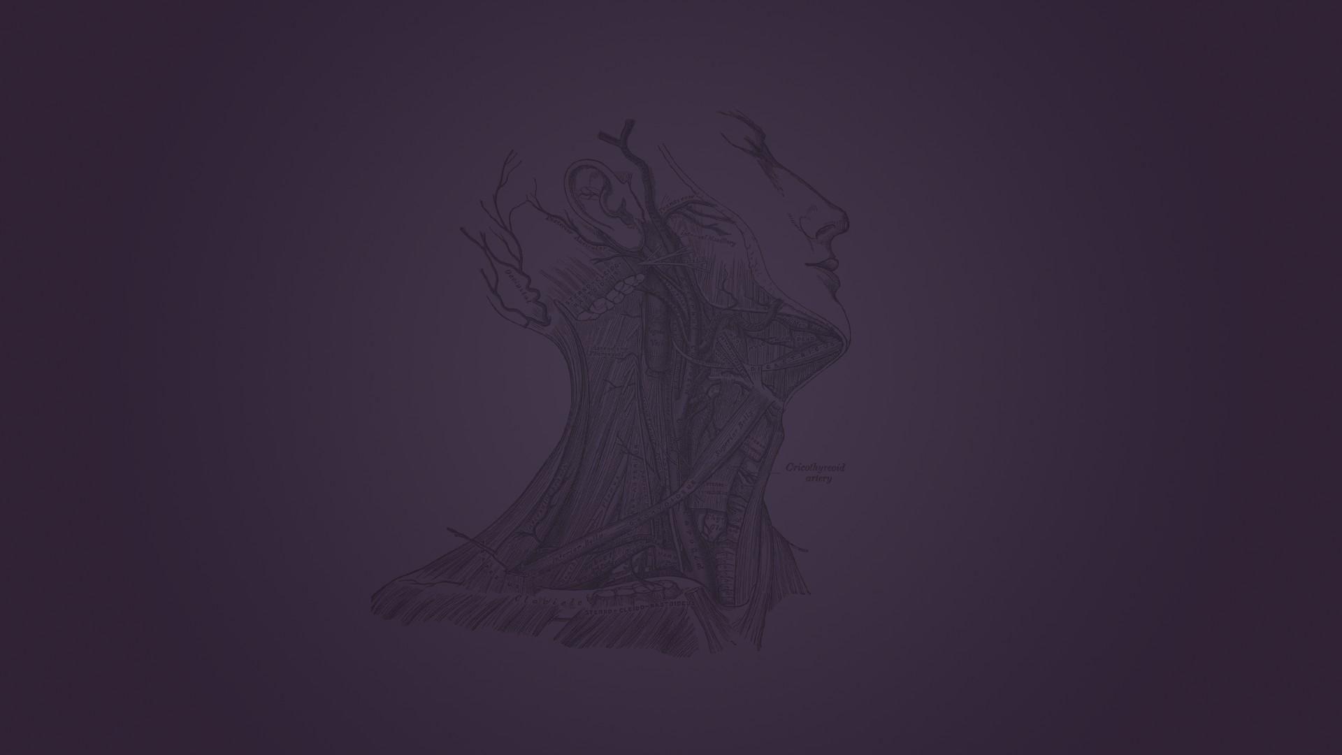 Abstract Anatomy Wallpapers - Top Free Abstract Anatomy Backgrounds ...