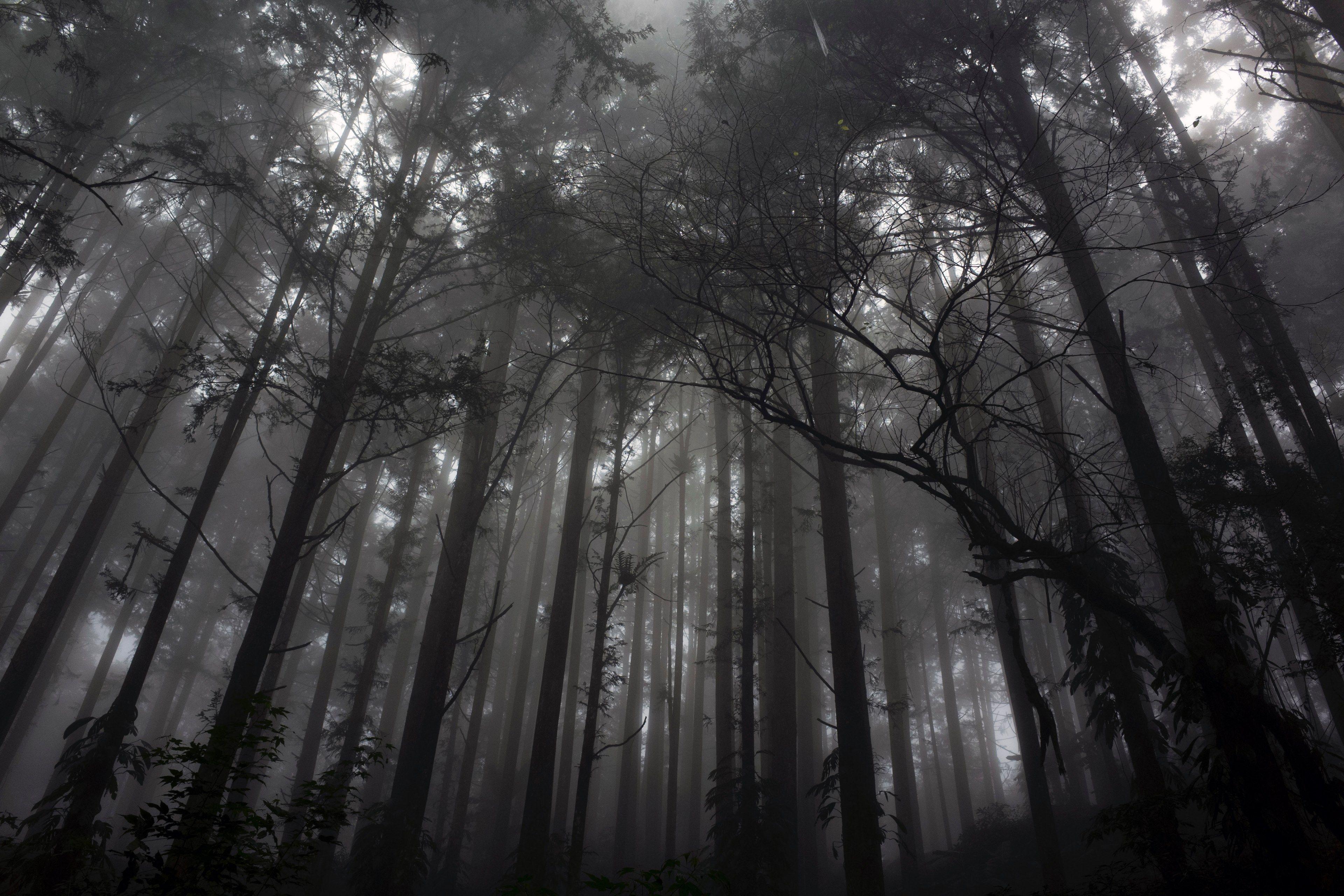 Spooky 4K Wallpapers - Top Free Spooky 4K Backgrounds - WallpaperAccess