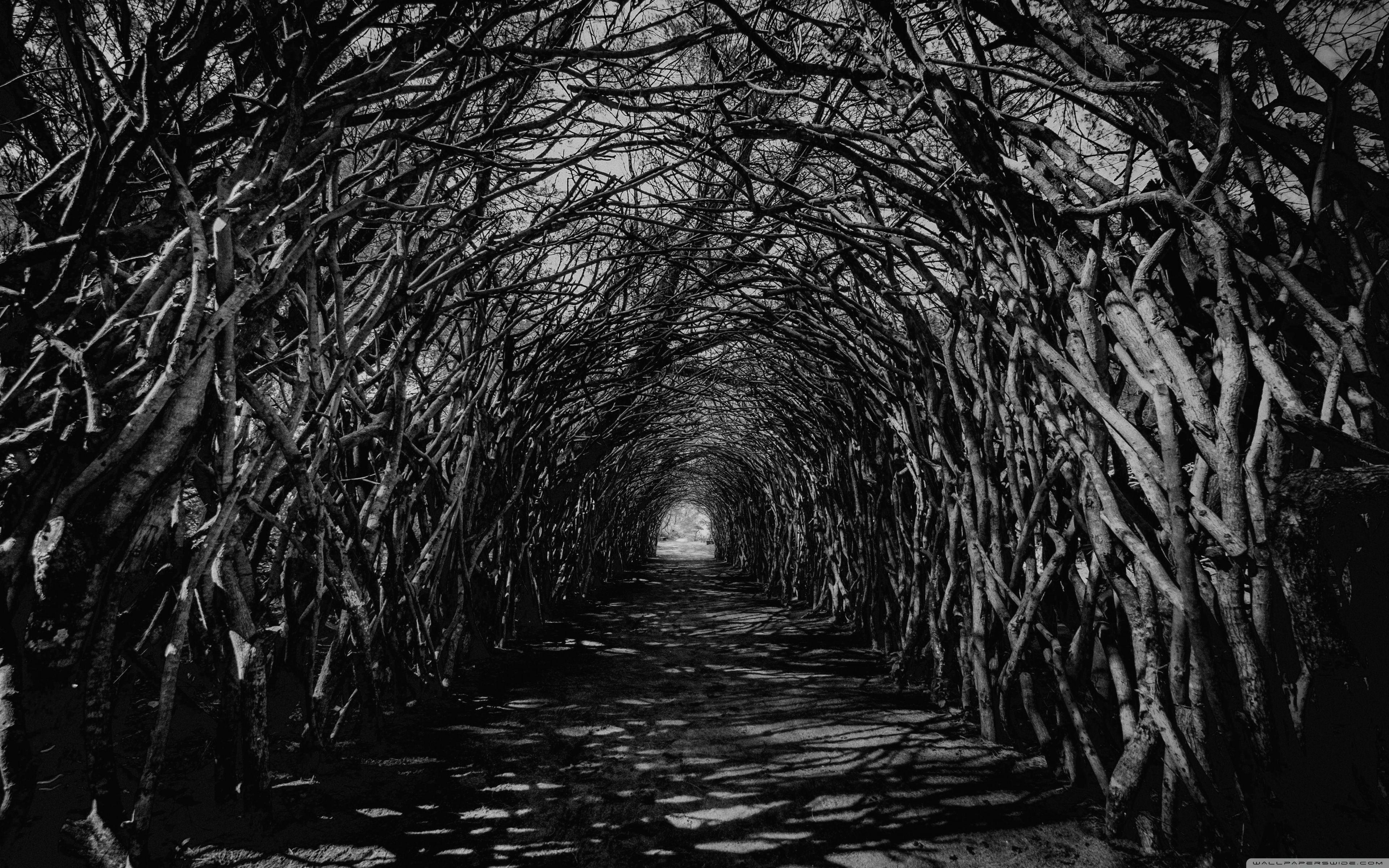 Spooky 4K Wallpapers - Top Free Spooky 4K Backgrounds - WallpaperAccess