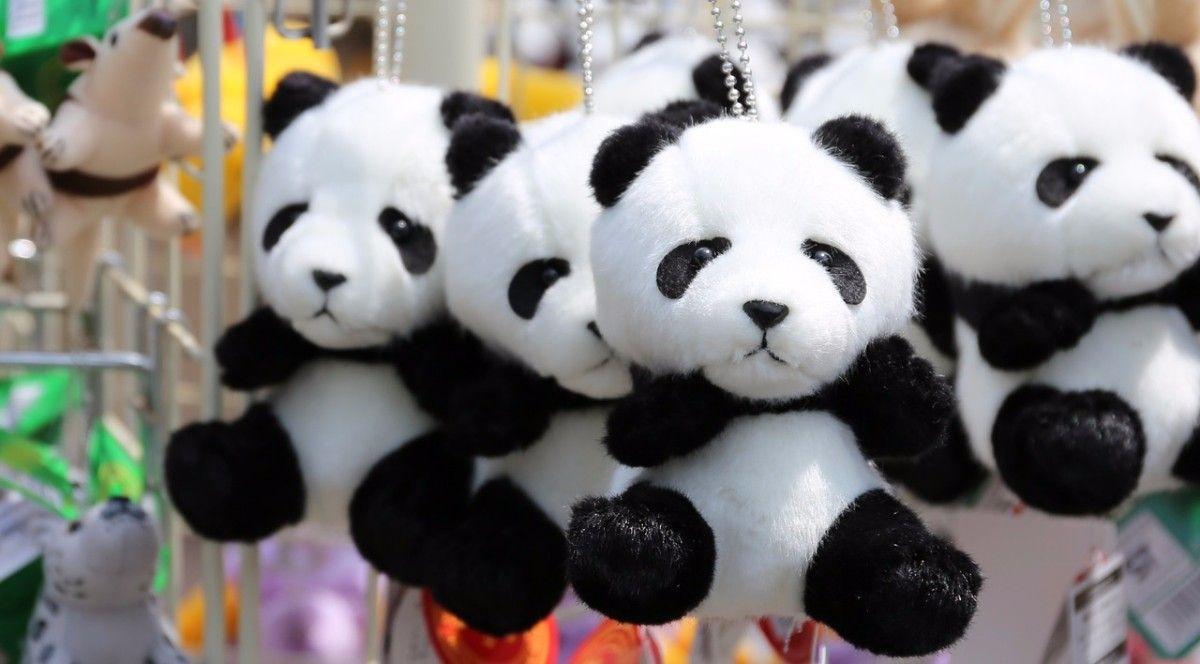 Beautiful Panda Wallpapers - Top Free Beautiful Panda Backgrounds ...