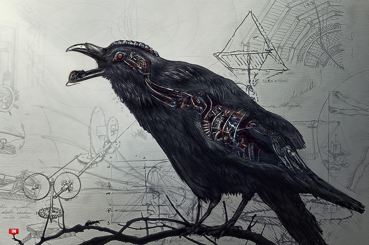Raven Desktop Wallpapers - Top Free Raven Desktop Backgrounds ...