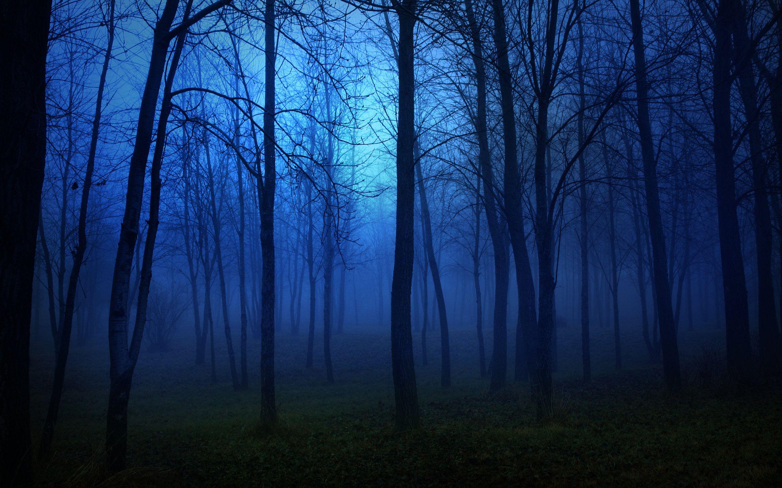 Creepy Night Wallpapers - Top Free Creepy Night Backgrounds ...