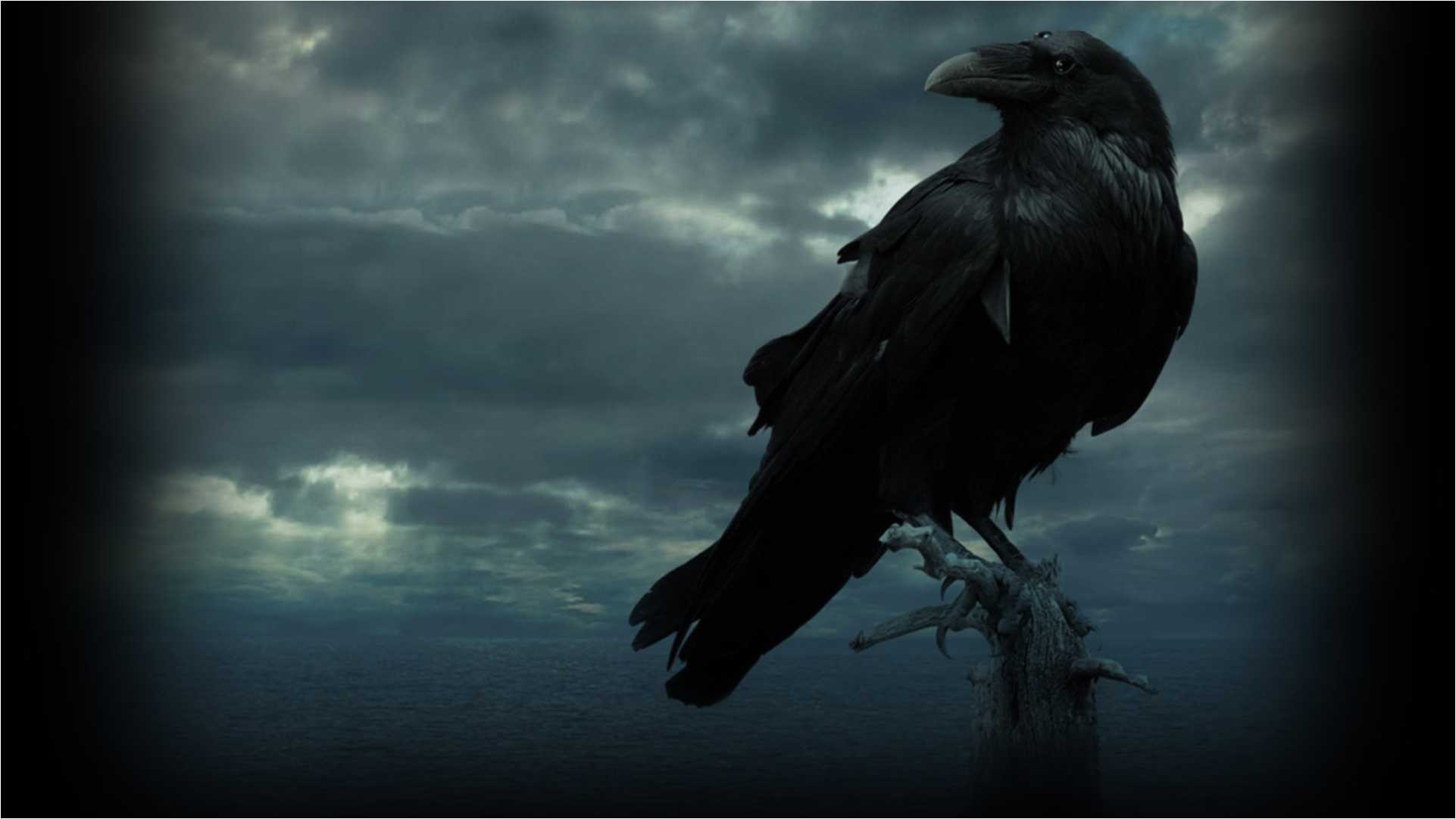 Raven Desktop Wallpapers - Top Free Raven Desktop Backgrounds ...