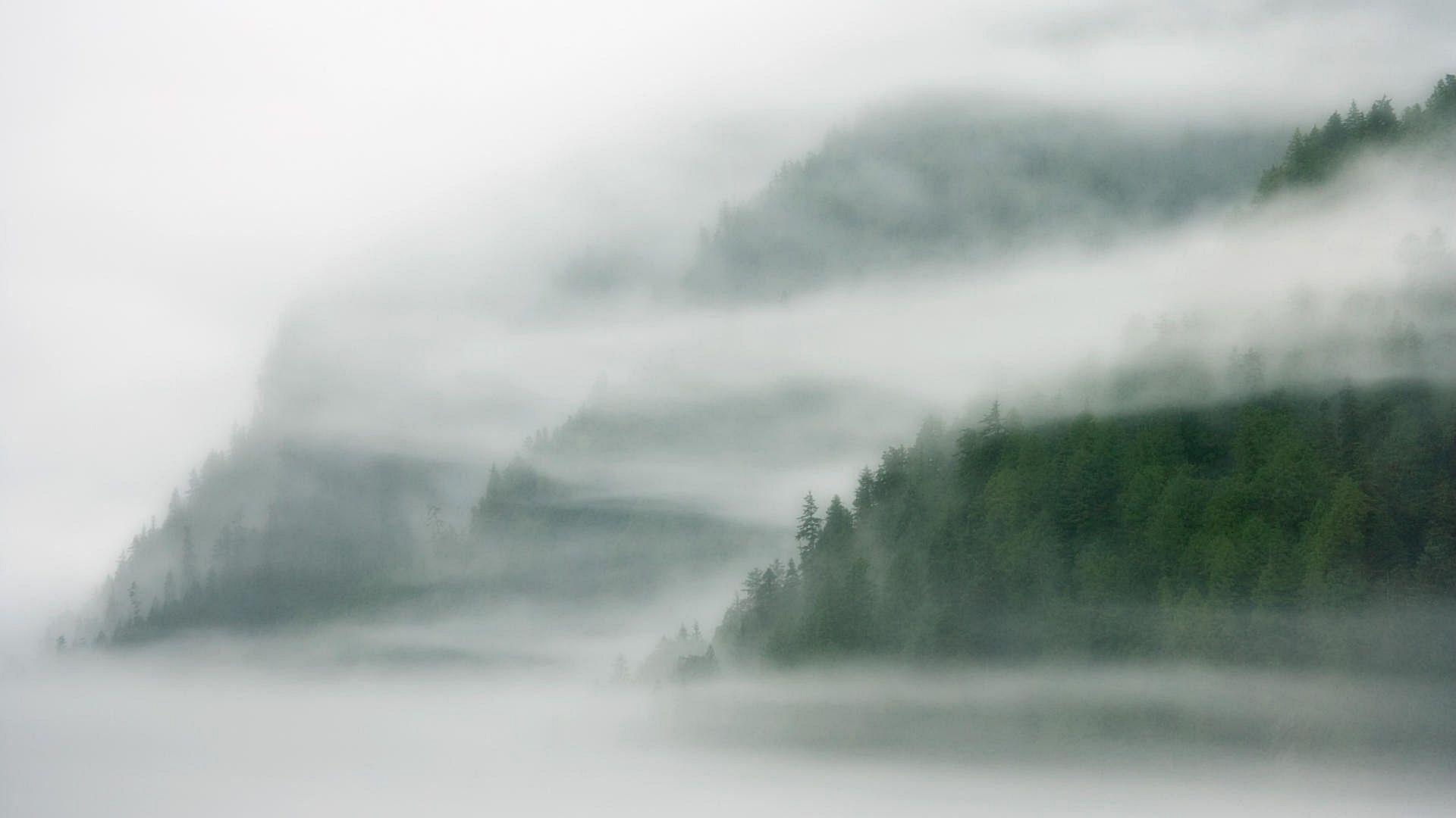 Fog Desktop Wallpapers - Top Free Fog Desktop Backgrounds - WallpaperAccess