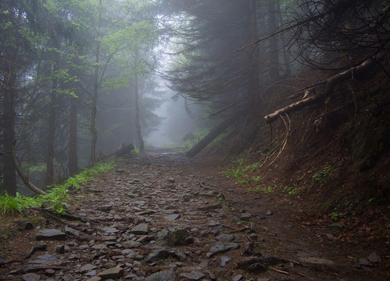Fog Desktop Wallpapers - Top Free Fog Desktop Backgrounds - WallpaperAccess