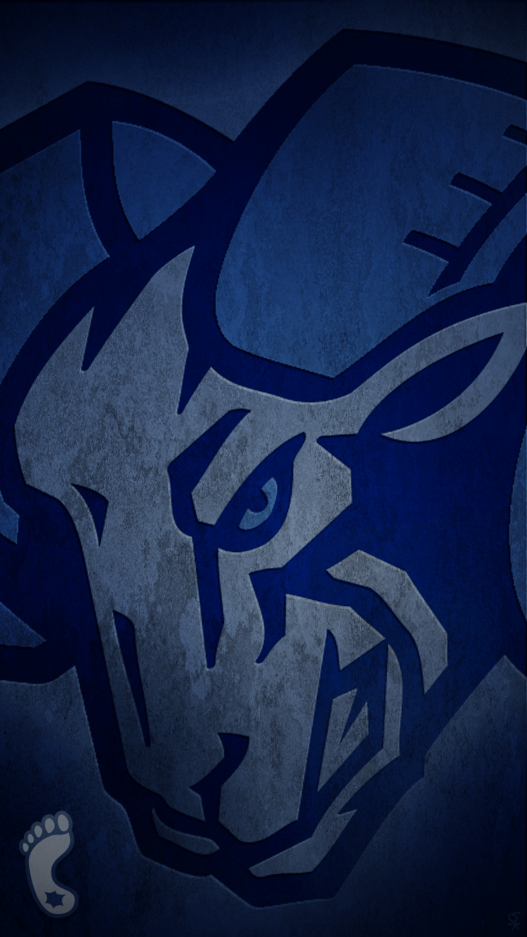 North Carolina Wallpapers - Top Free North Carolina Backgrounds ...