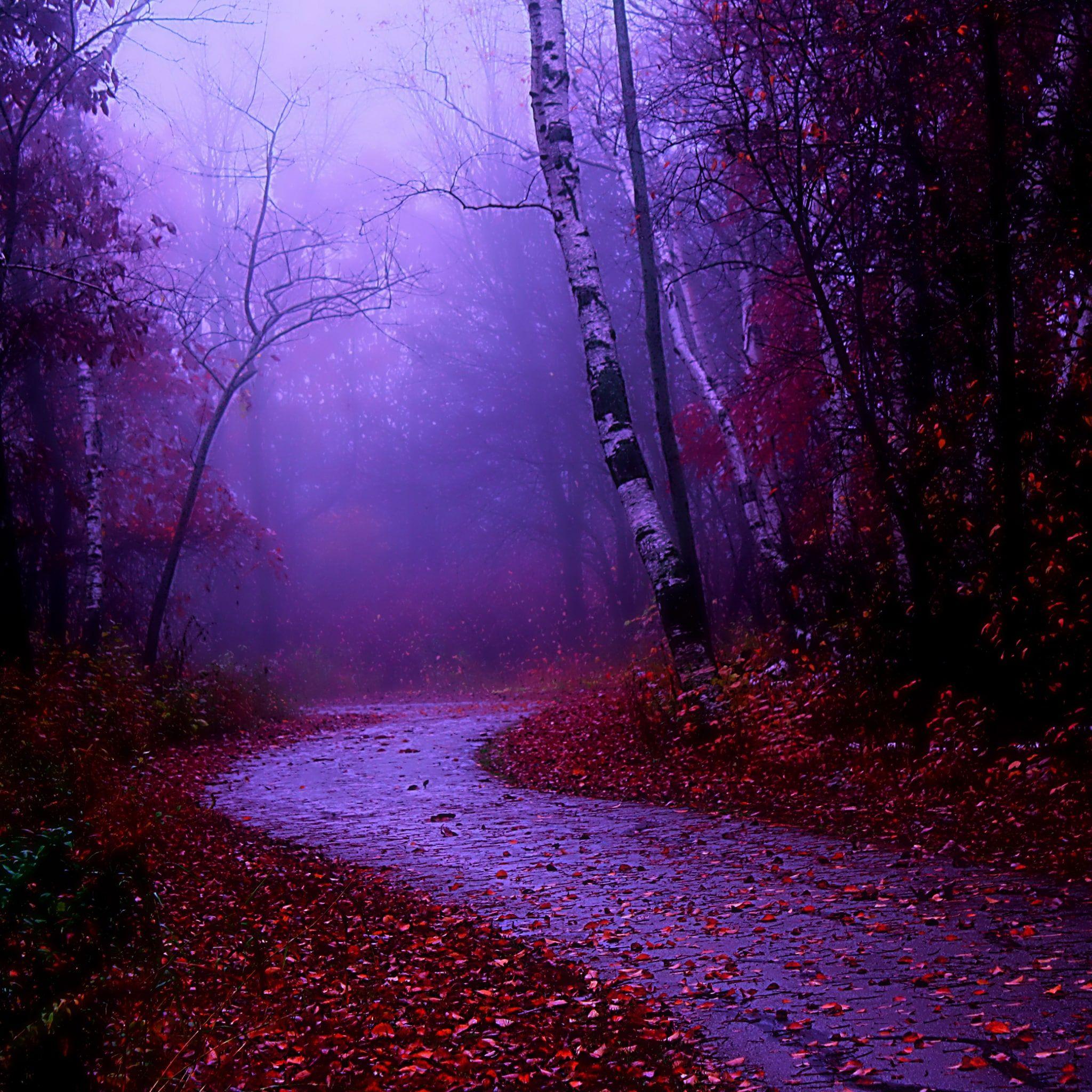 iPad Nature Wallpapers - Top Free iPad Nature Backgrounds - WallpaperAccess