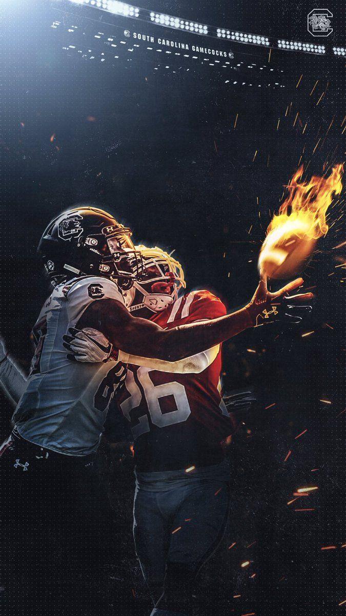 South Carolina Gamecocks Wallpapers - Top Free South Carolina Gamecocks ...