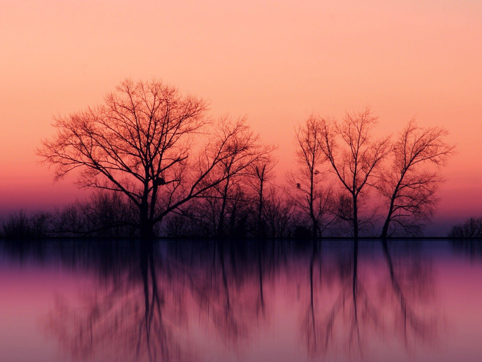 iPad Nature Wallpapers - Top Free iPad Nature Backgrounds - WallpaperAccess