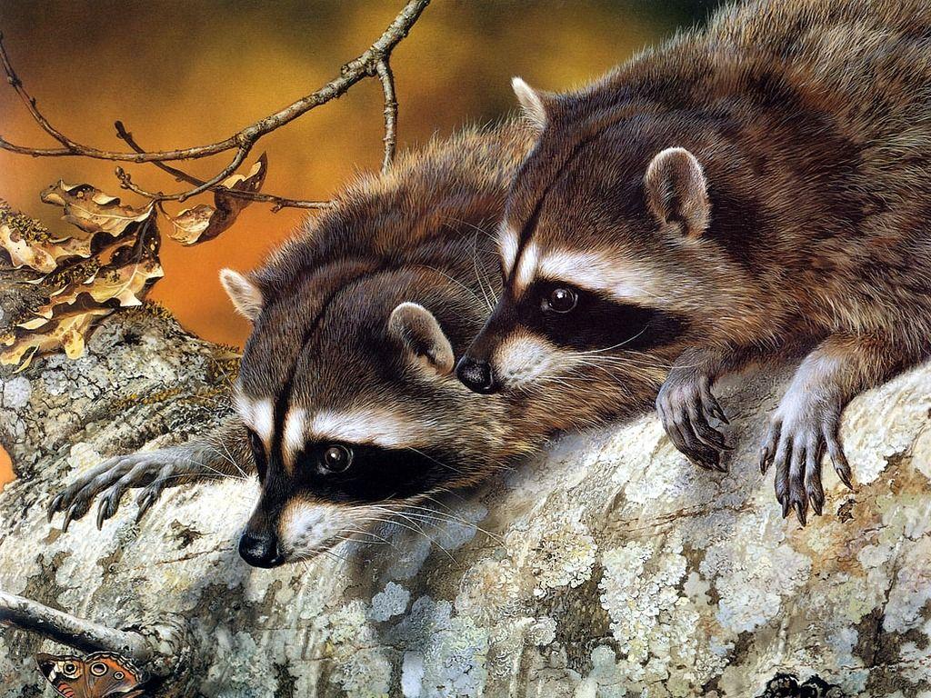 Cute Autumn Animals Wallpapers - Top Free Cute Autumn Animals ...