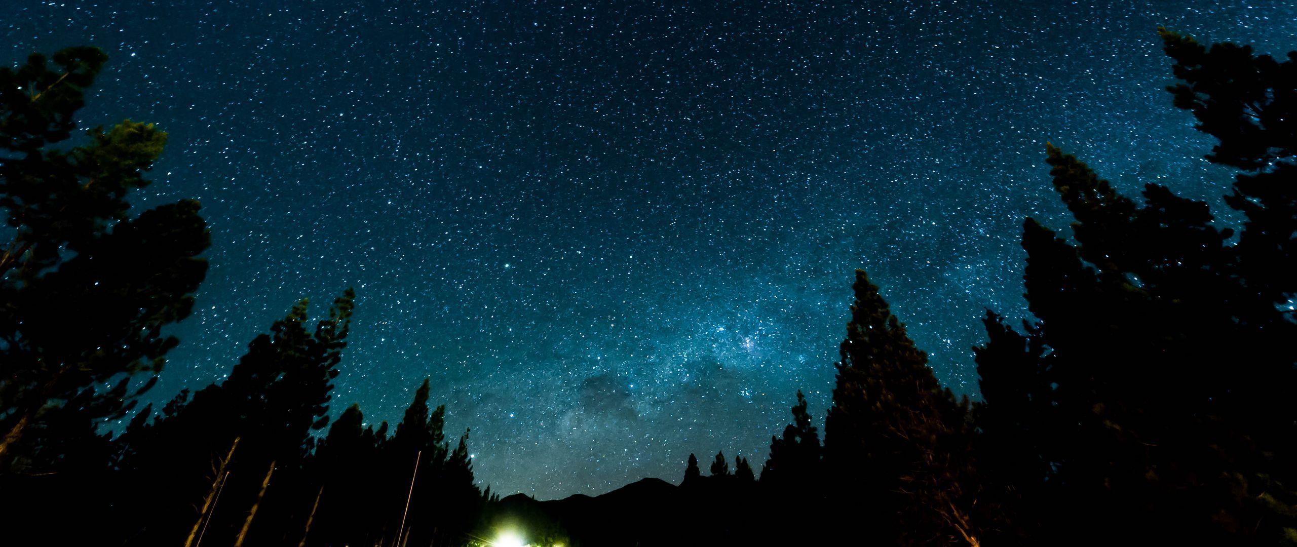 Forest Space Wallpapers - Top Free Forest Space Backgrounds ...