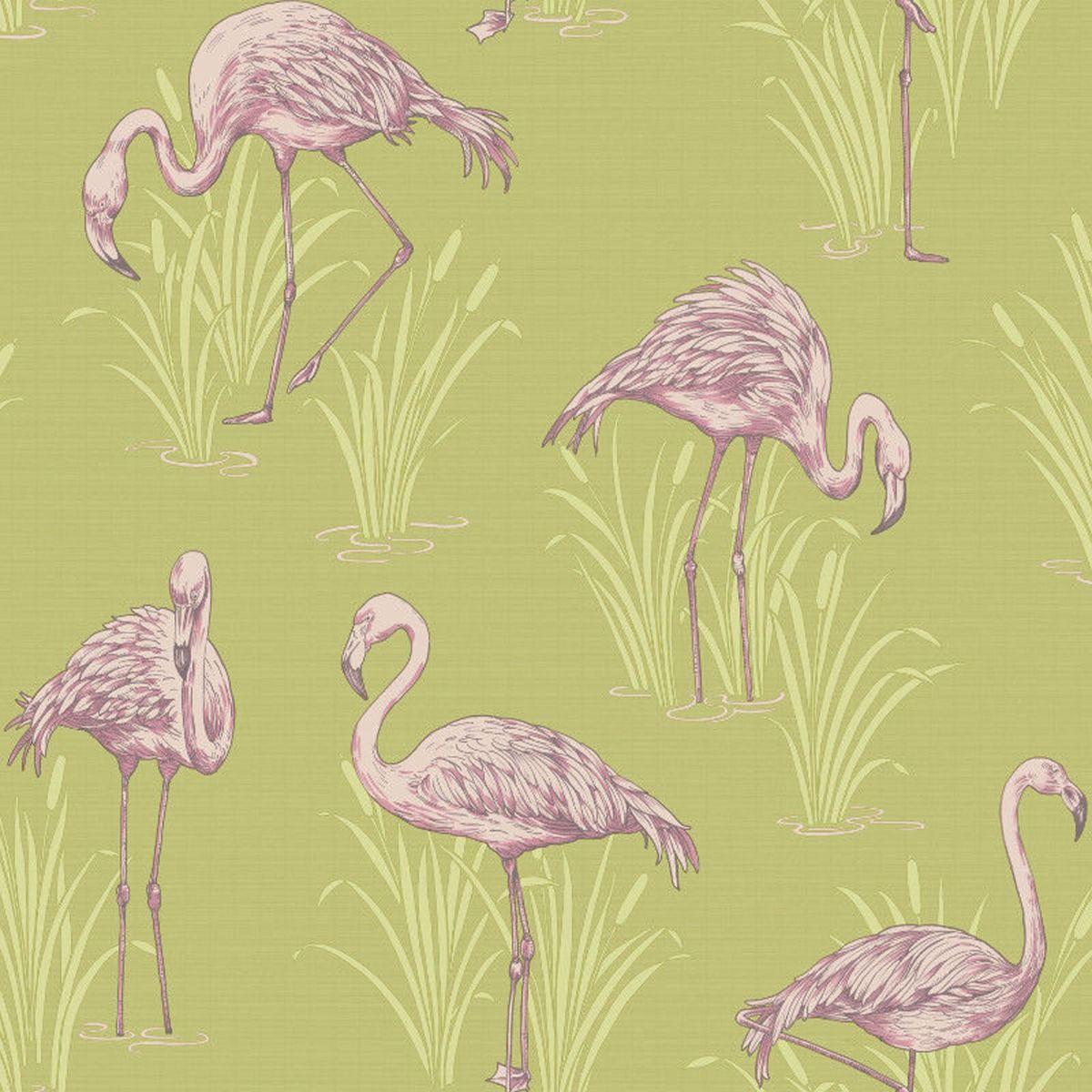 Retro Flamingo Wallpapers - Top Free Retro Flamingo Backgrounds ...