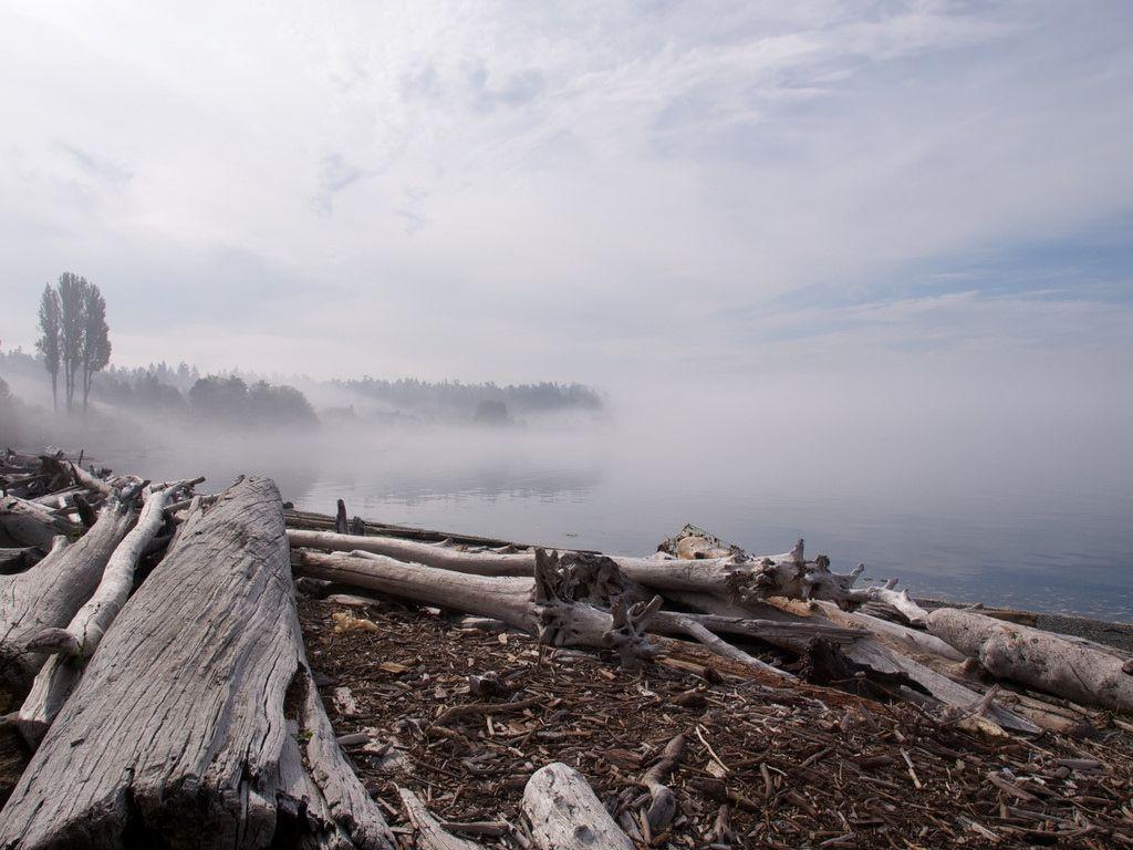 Puget Sound Wallpapers - Top Free Puget Sound Backgrounds - WallpaperAccess