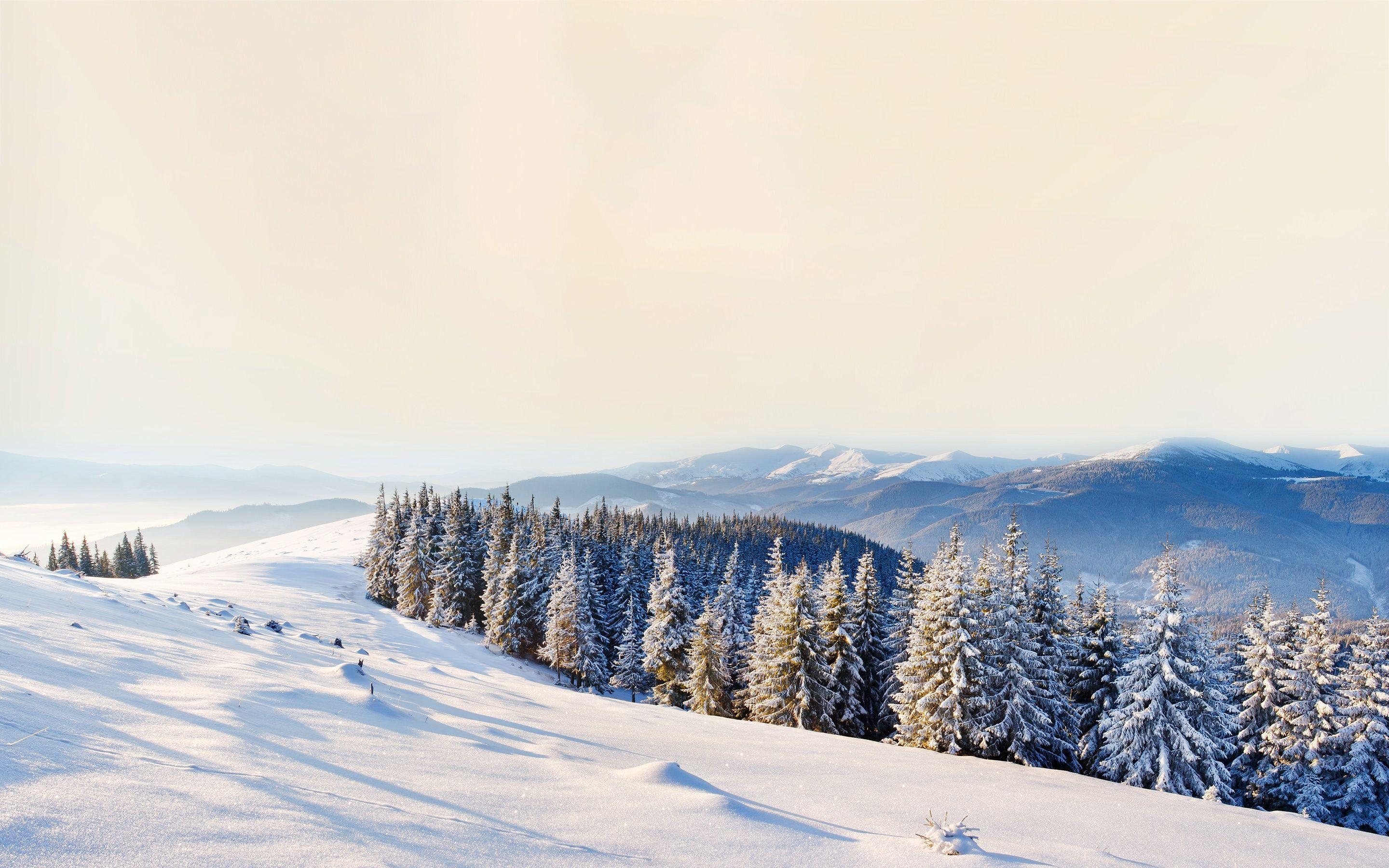 Winter 2880 X 1800 Retina Wallpapers - Top Free Winter 2880 X 1800 ...