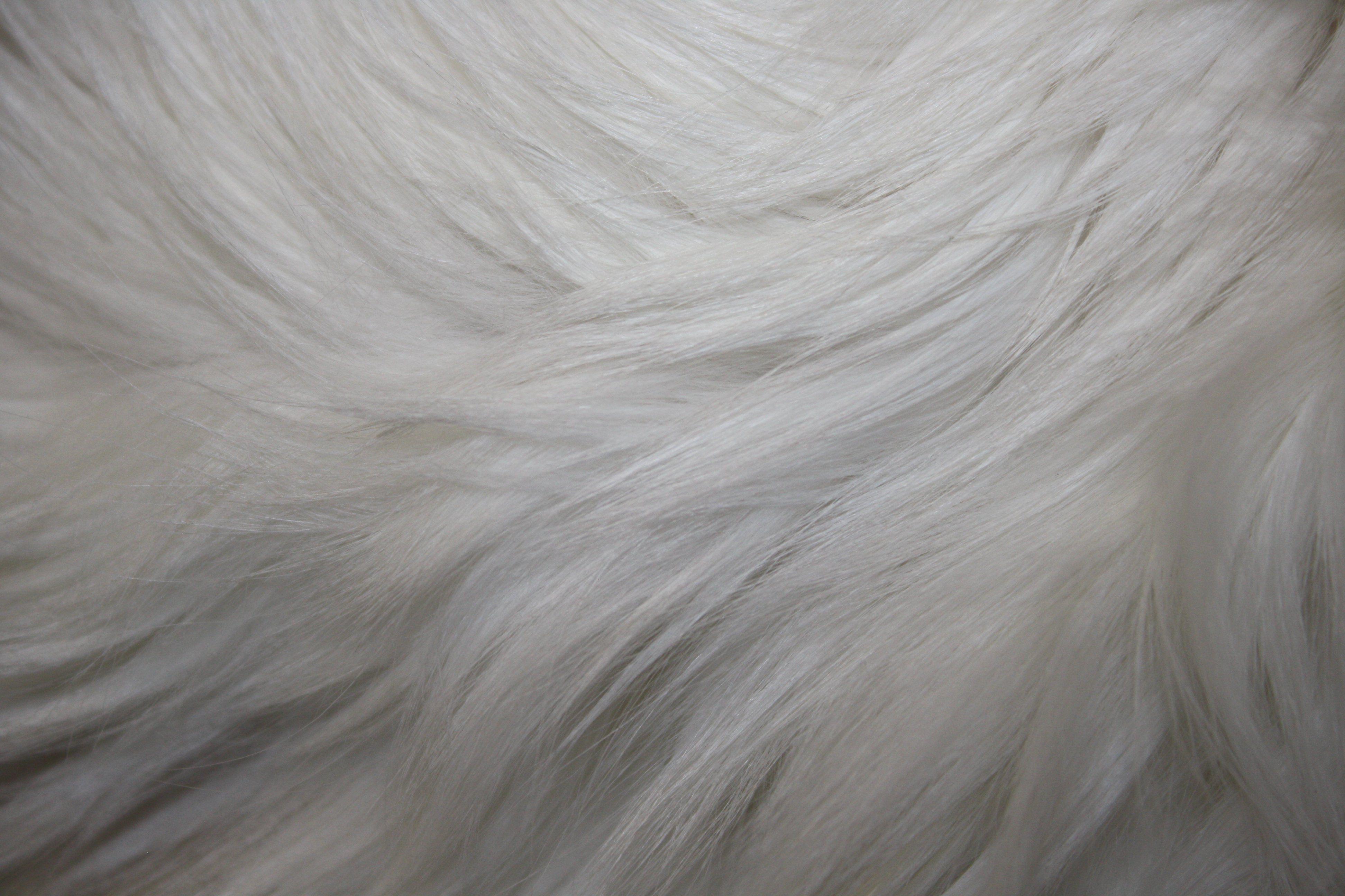 White Fur Wallpapers - Top Free White Fur Backgrounds - WallpaperAccess