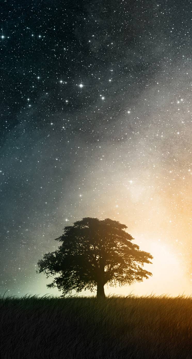 Lonely Wallpapers - Top Free Lonely Backgrounds - WallpaperAccess