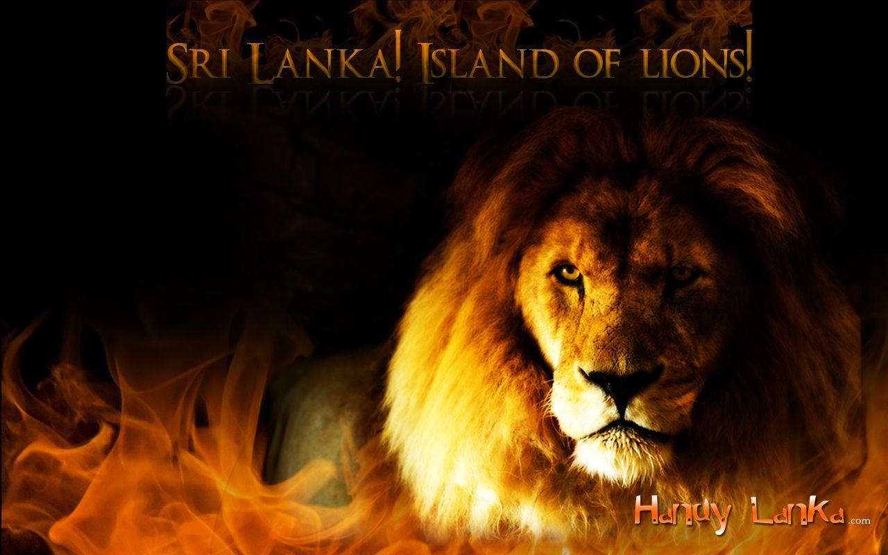 Sri Lanka Cricket Wallpapers - Top Free Sri Lanka Cricket Backgrounds ...