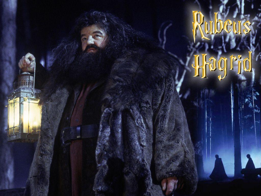 Hagrid Wallpapers - Top Free Hagrid Backgrounds - WallpaperAccess