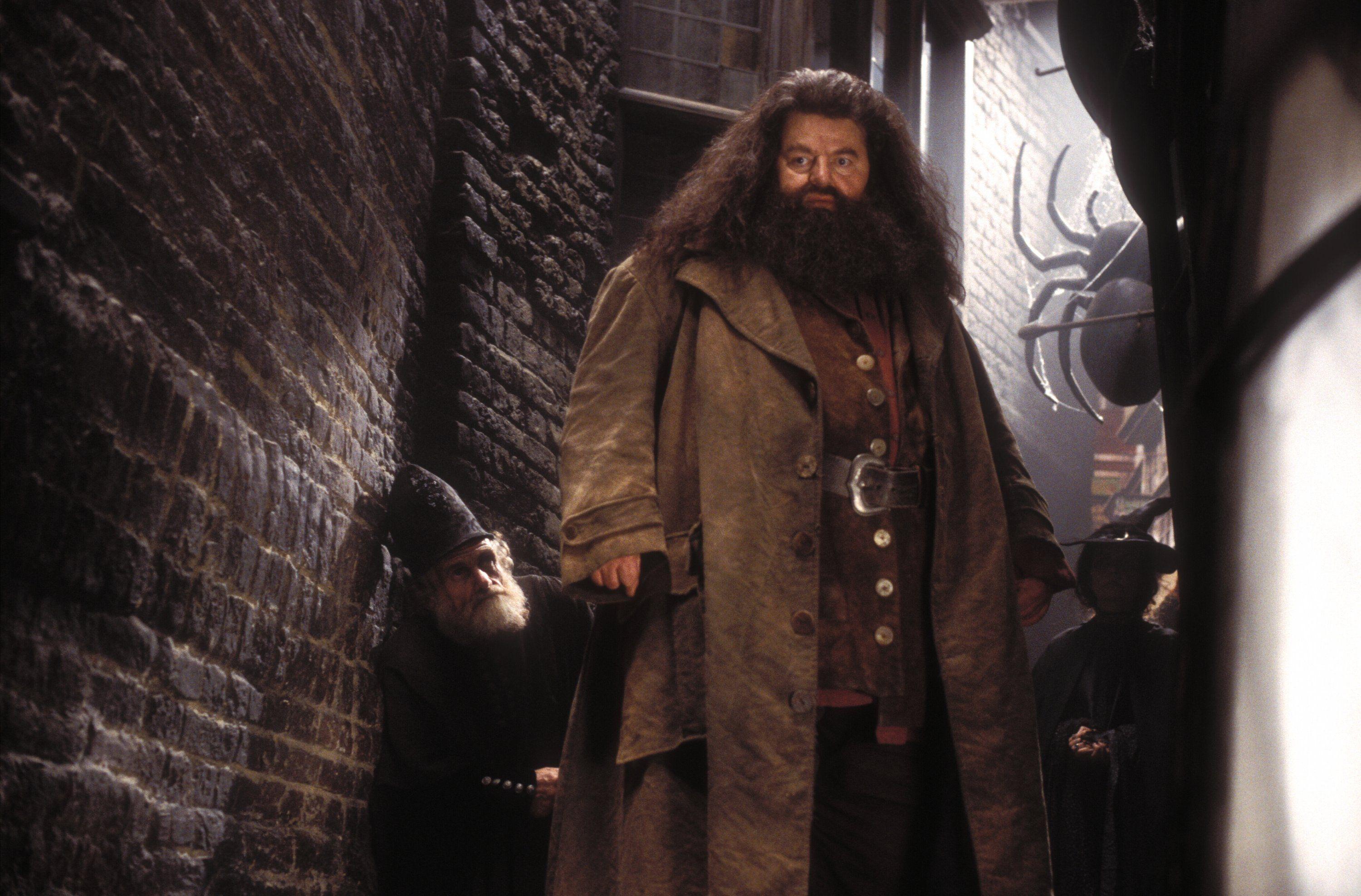 Hagrid Wallpapers - Top Free Hagrid Backgrounds - WallpaperAccess