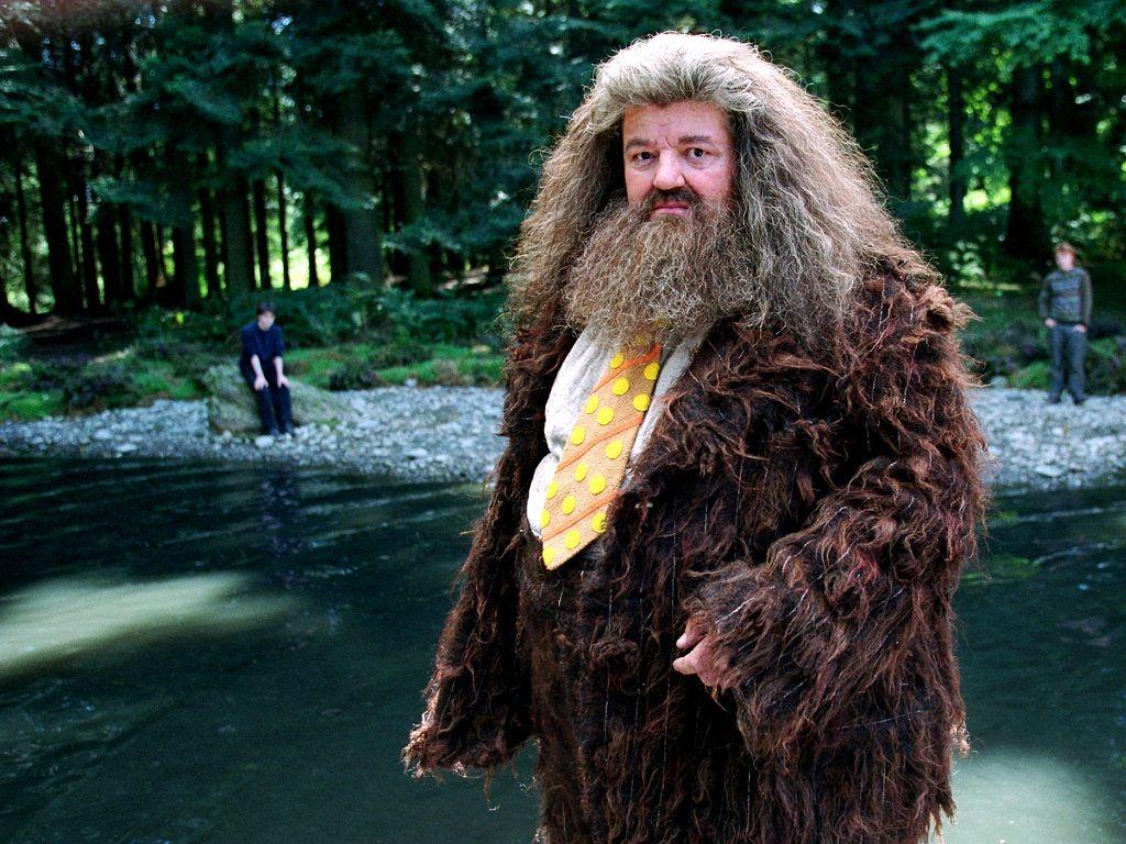 Hagrid Wallpapers - Top Free Hagrid Backgrounds - WallpaperAccess
