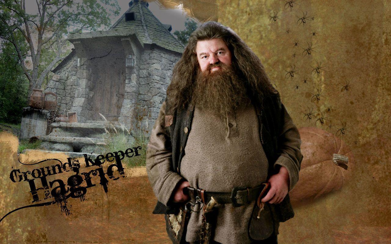 Hagrid Wallpapers - Top Free Hagrid Backgrounds - WallpaperAccess