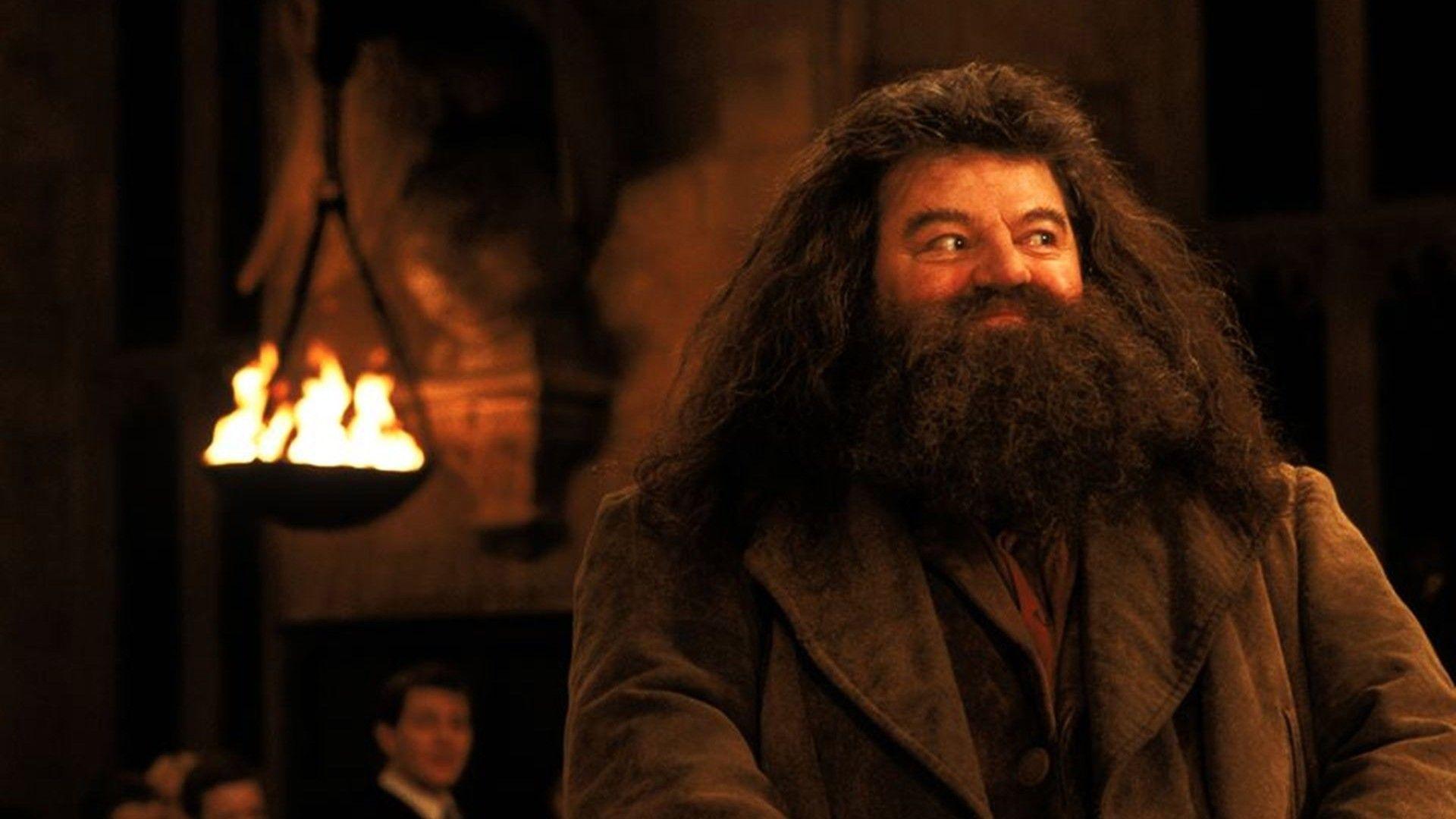 Hagrid Wallpapers - Top Free Hagrid Backgrounds - WallpaperAccess
