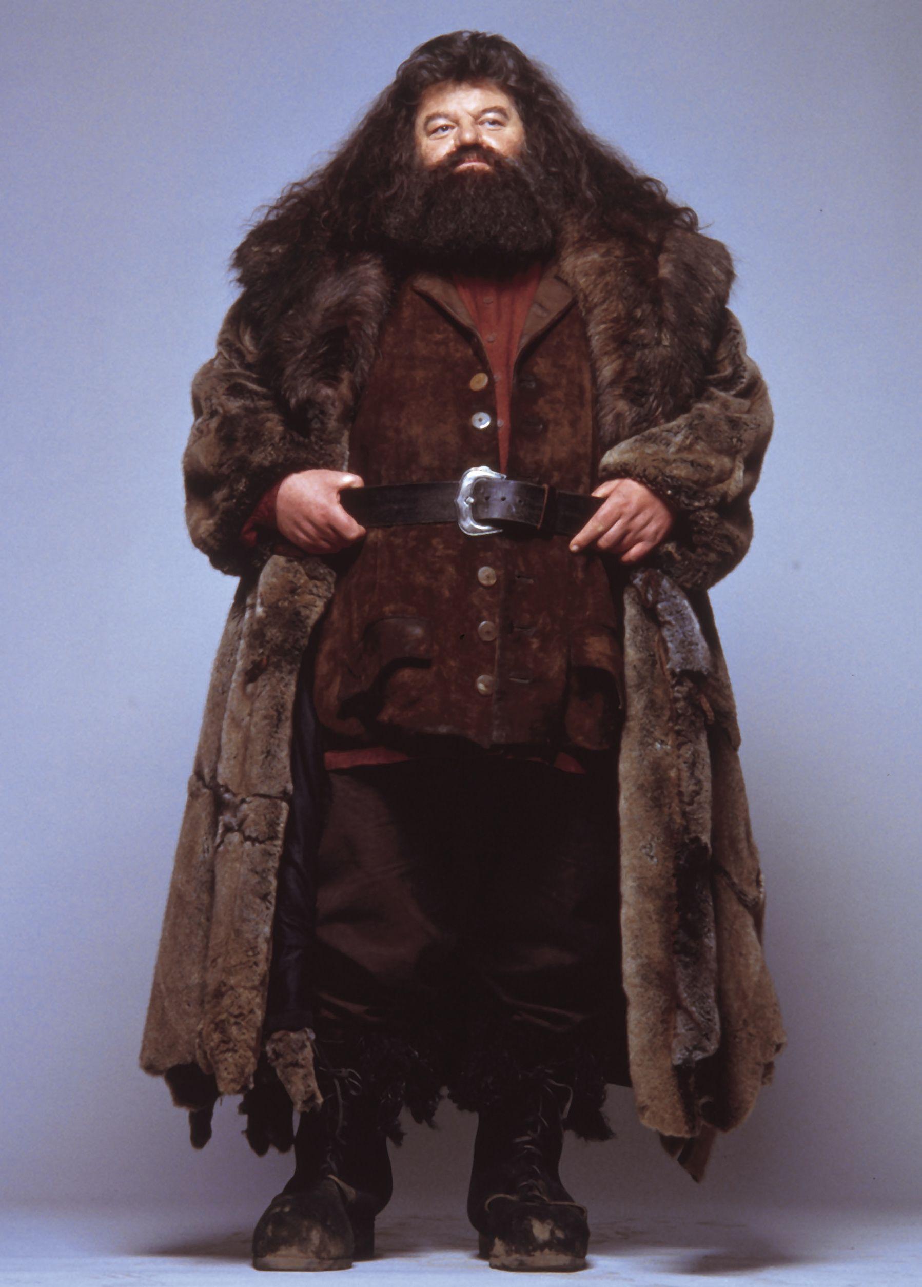 Hagrid Wallpapers - Top Free Hagrid Backgrounds - WallpaperAccess