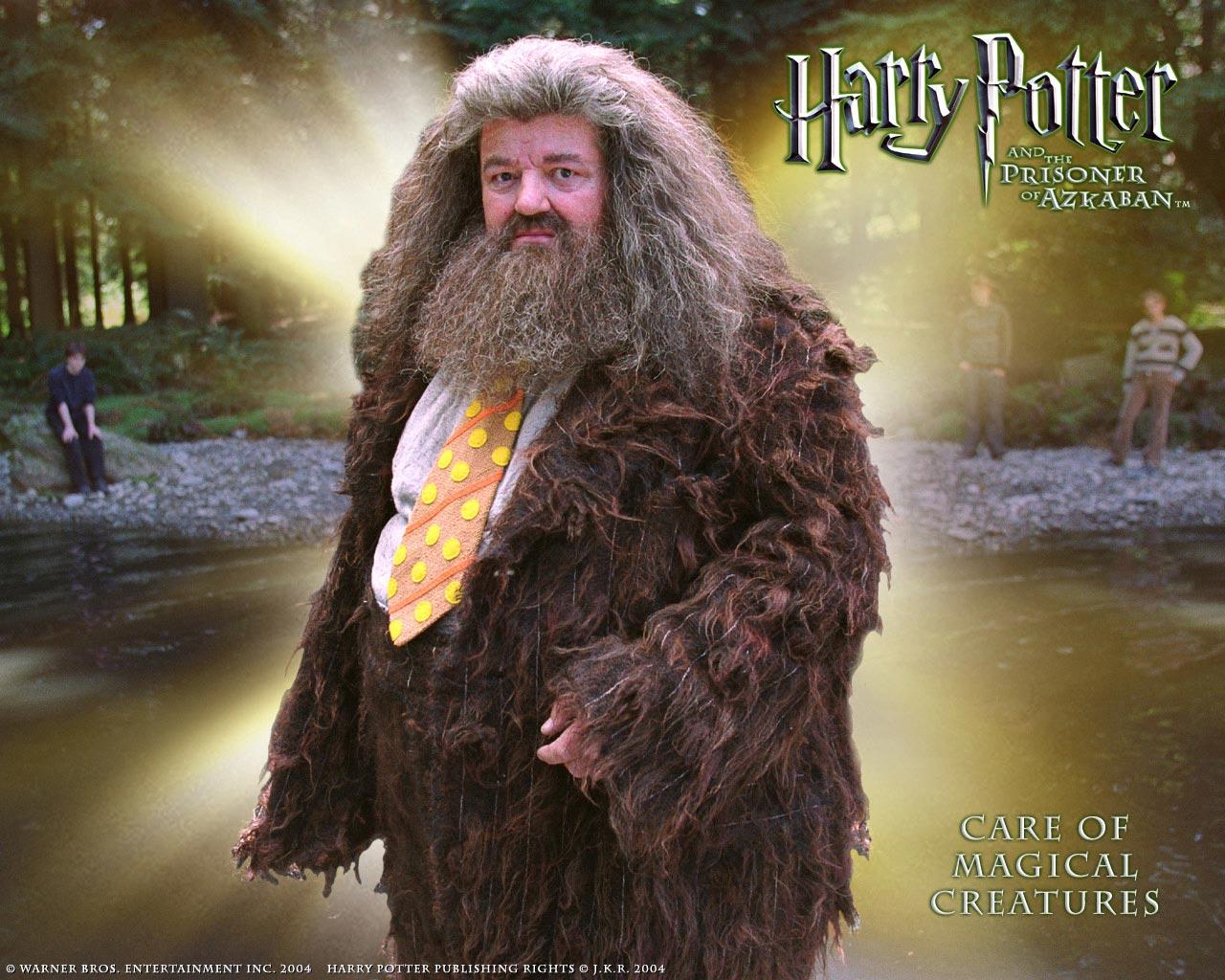 Hagrid Wallpapers - Top Free Hagrid Backgrounds - WallpaperAccess