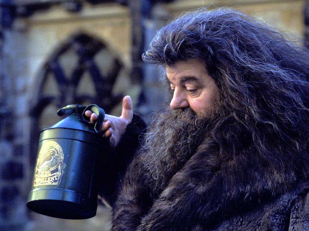 Hagrid Wallpapers - Top Free Hagrid Backgrounds - WallpaperAccess