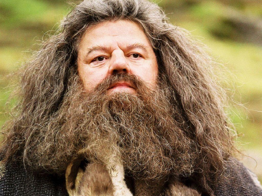 Hagrid Wallpapers - Top Free Hagrid Backgrounds - WallpaperAccess