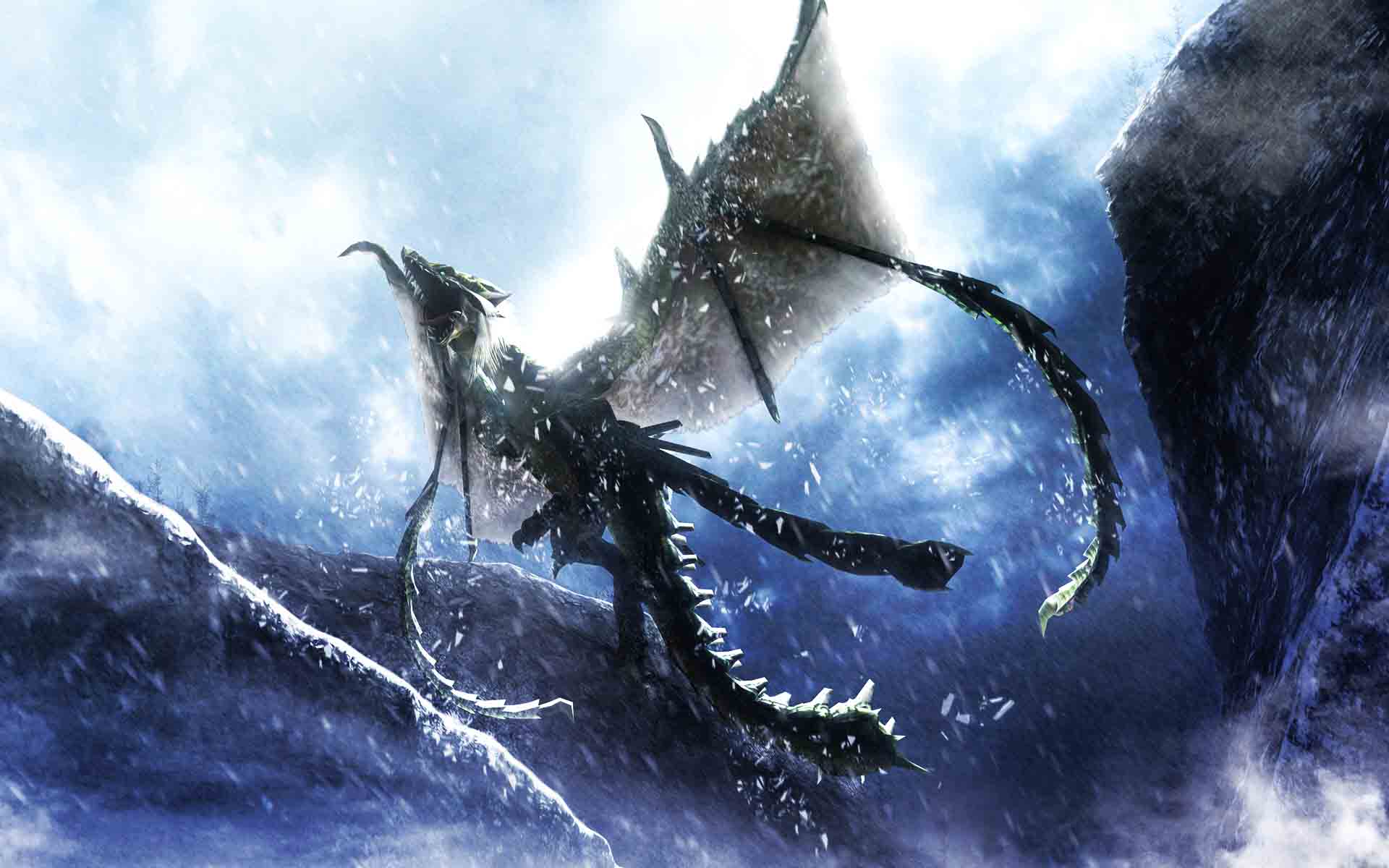 Monster Hunter Barioth Wallpapers - Top Free Monster Hunter Barioth ...