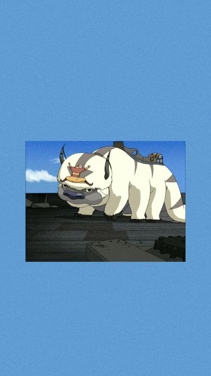 Appa Avatar Wallpapers - Top Free Appa Avatar Backgrounds - WallpaperAccess