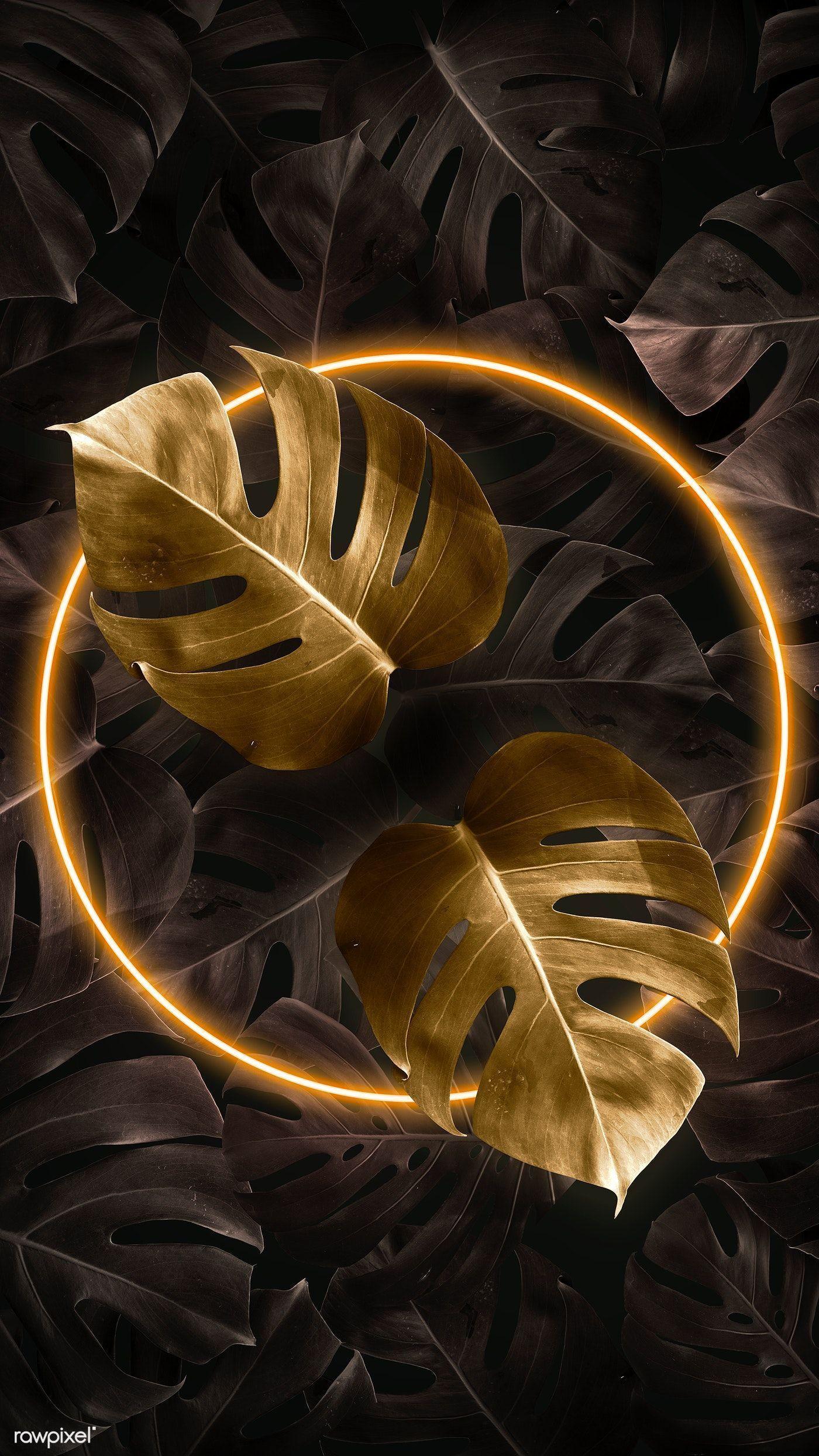 4K Golden Wallpapers - Top Free 4K Golden Backgrounds - WallpaperAccess